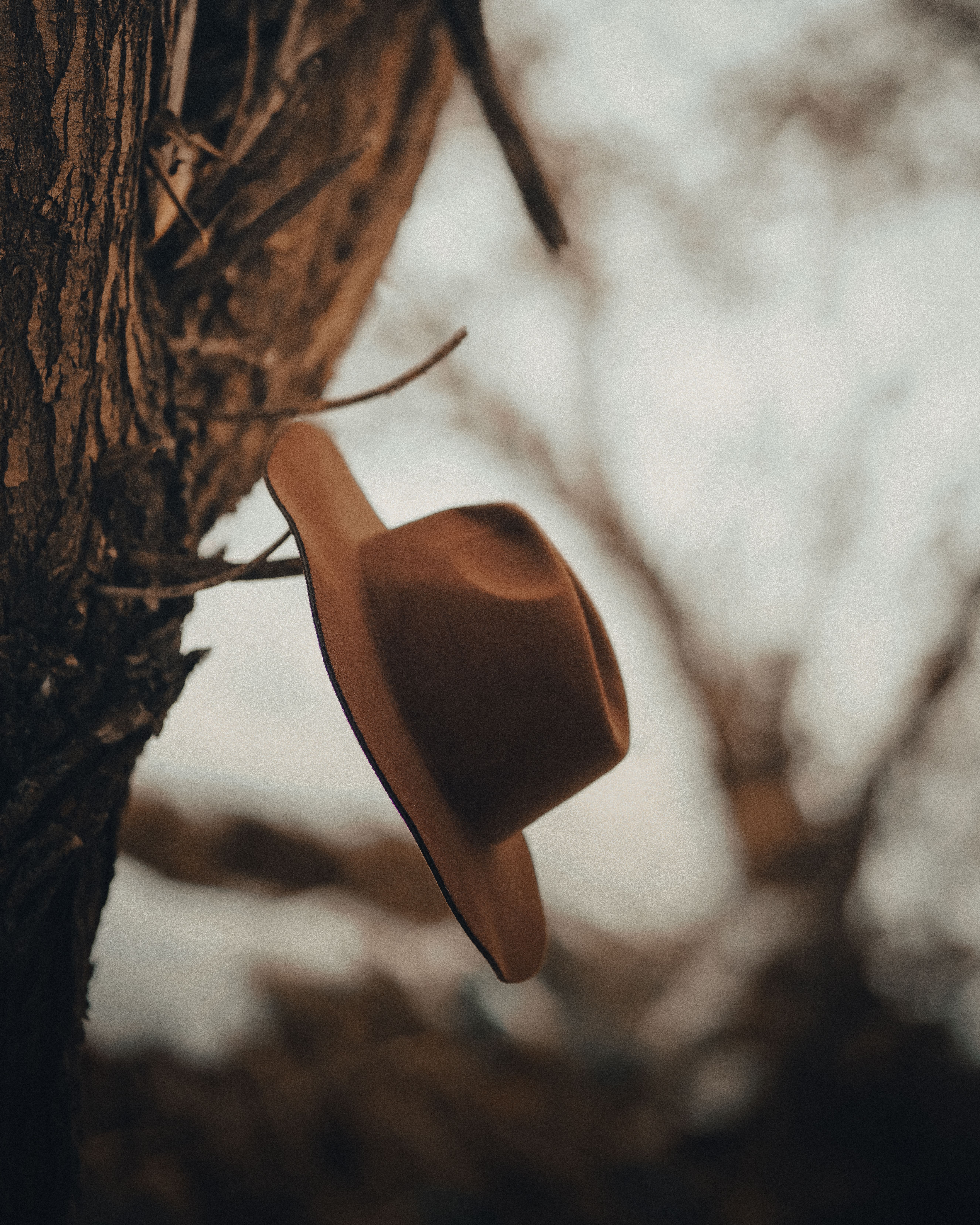 Brown Hat Hanging on Tree Branch · Free Stock Photo