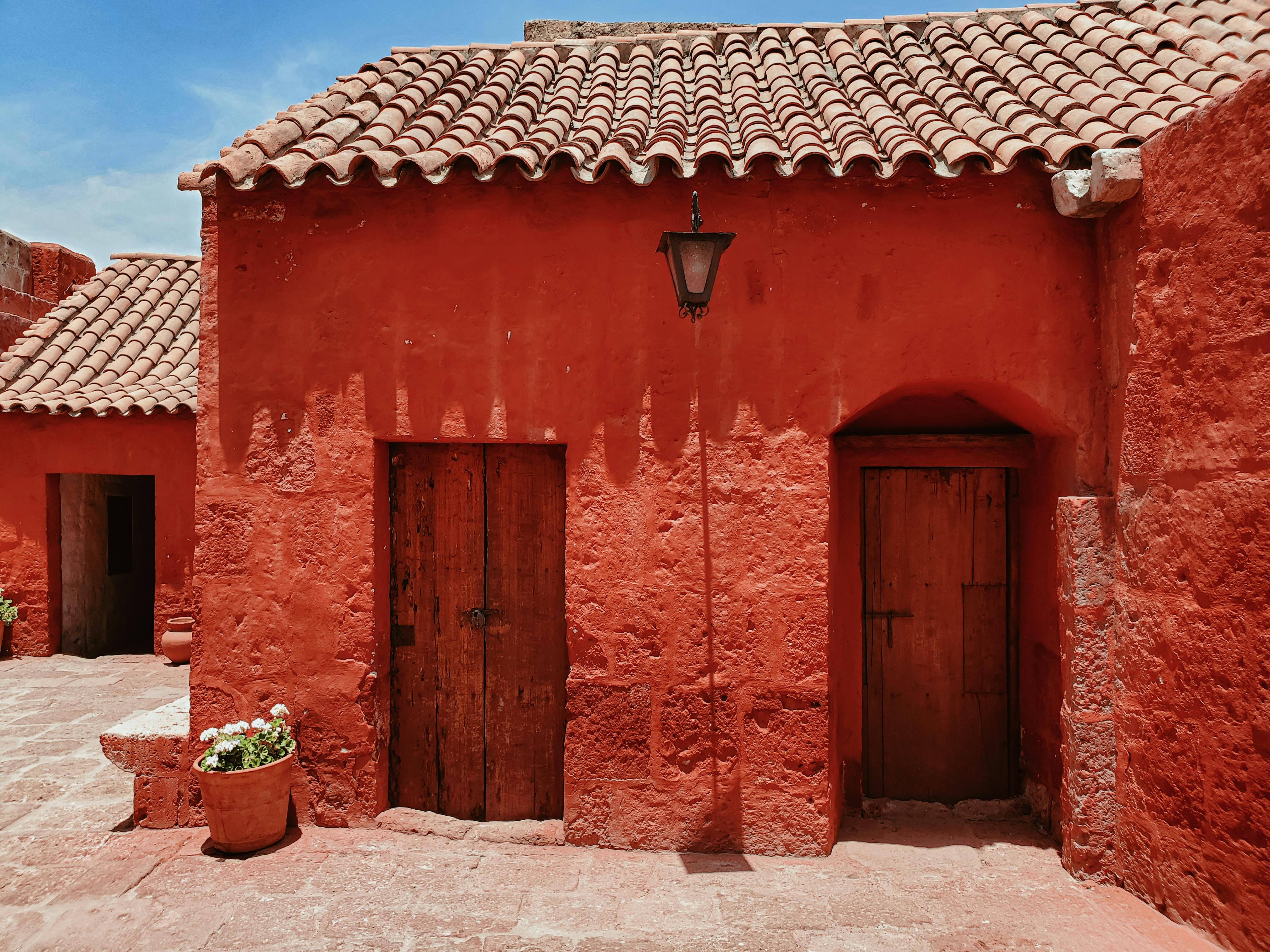 Adobe Photos, Download The BEST Free Adobe Stock Photos & HD Images