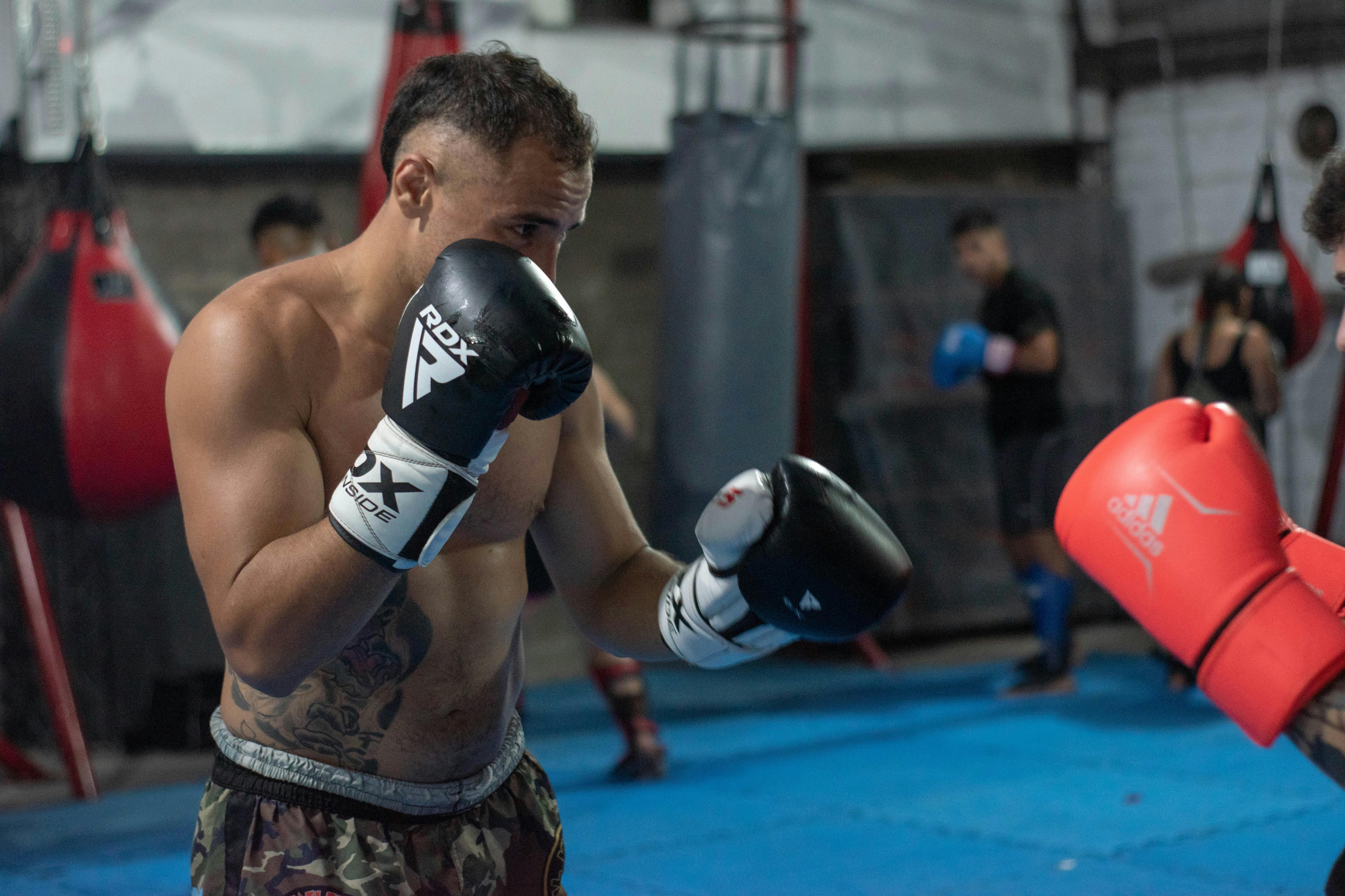 Boxer Fighting at Gym · Free Stock Photo