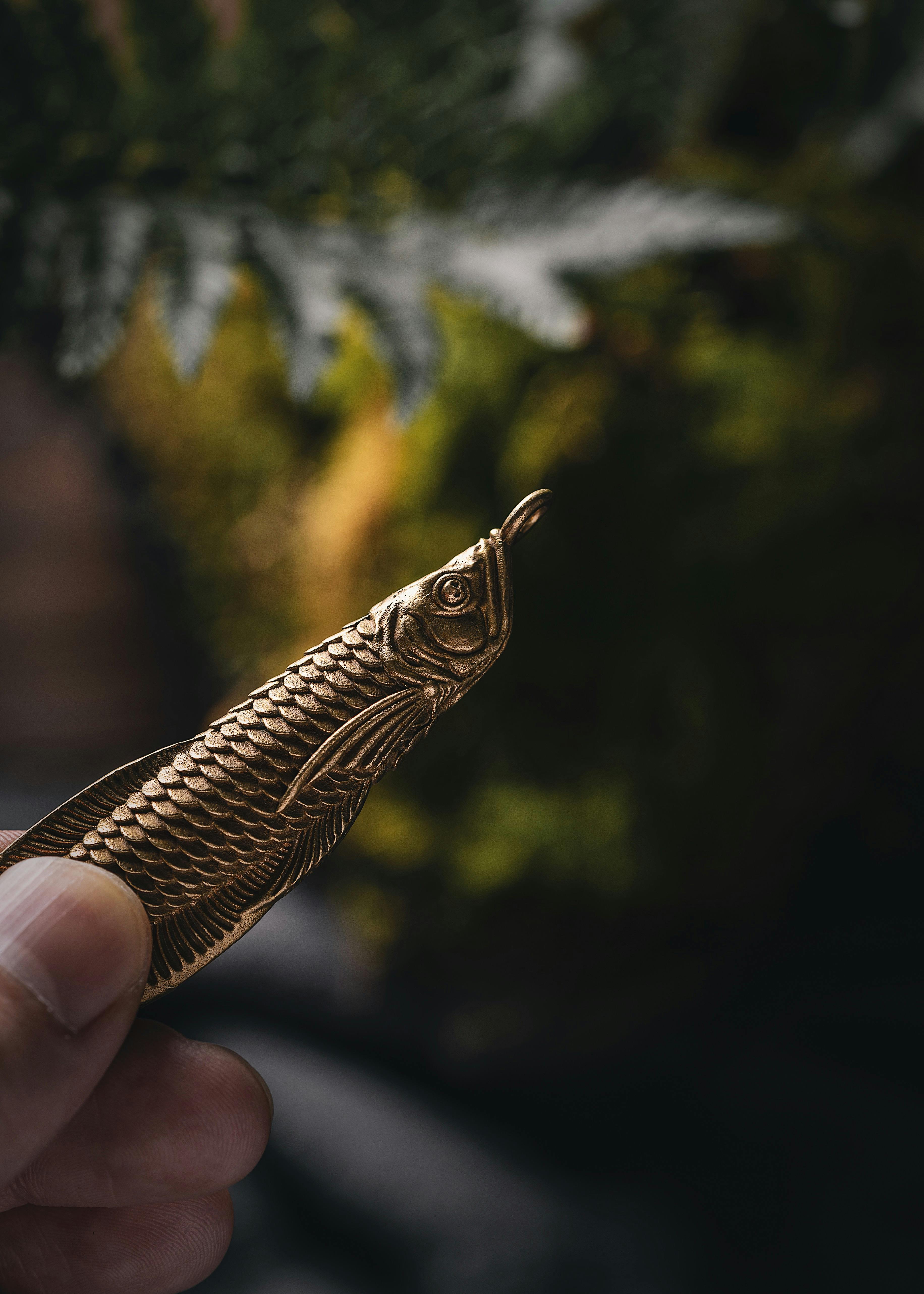 Fingering Photos, Download The BEST Free Fingering Stock Photos & HD Images