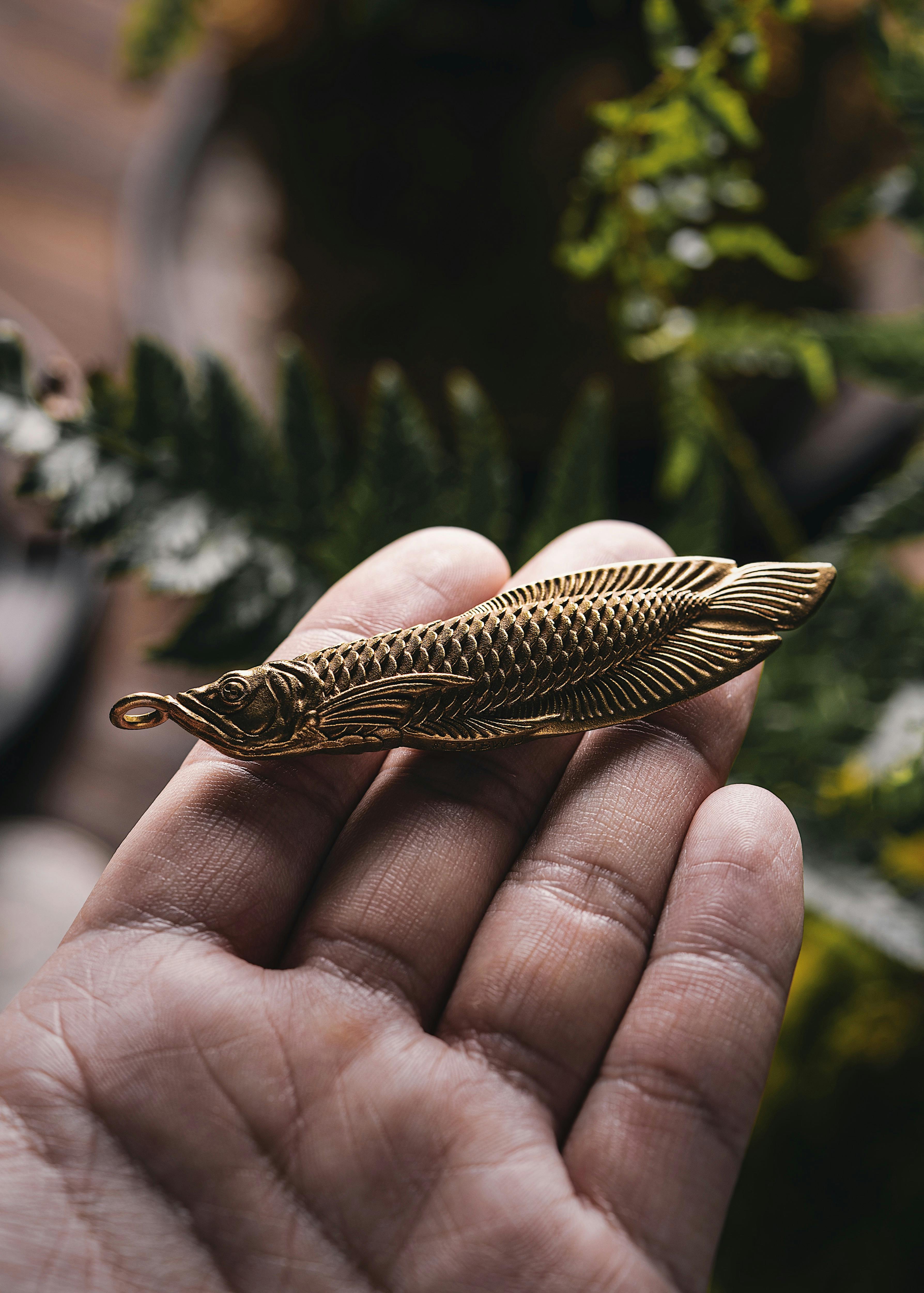 Golden Fish on Hand · Free Stock Photo