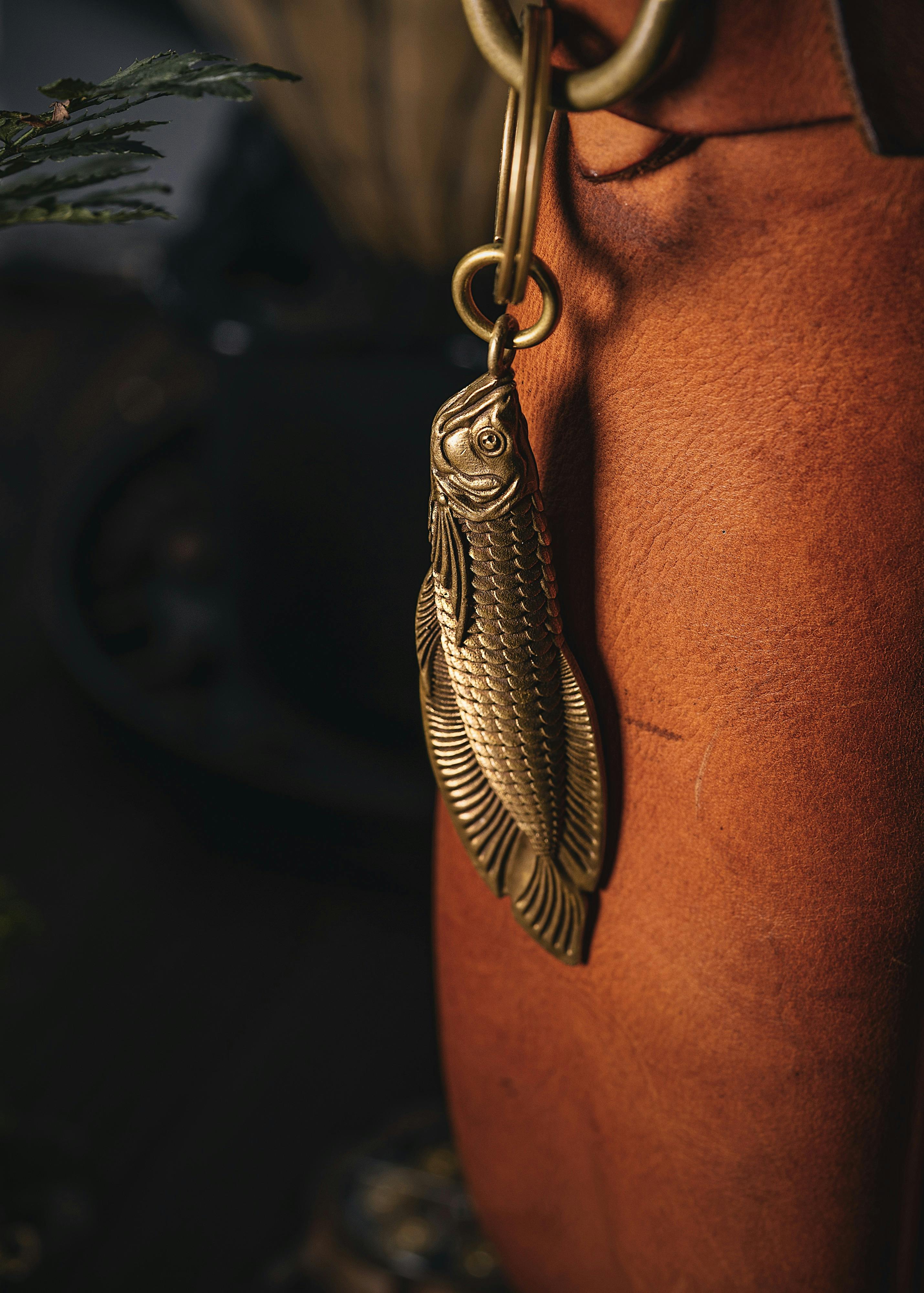 Function Photos, Download The BEST Free Function Stock Photos & HD Images