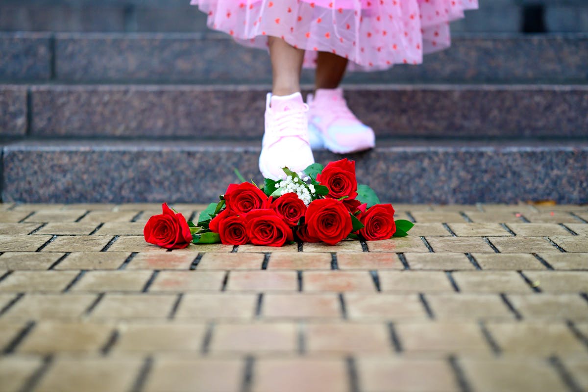 Trampled Rose Photos, Download The BEST Free Trampled Rose Stock Photos ...