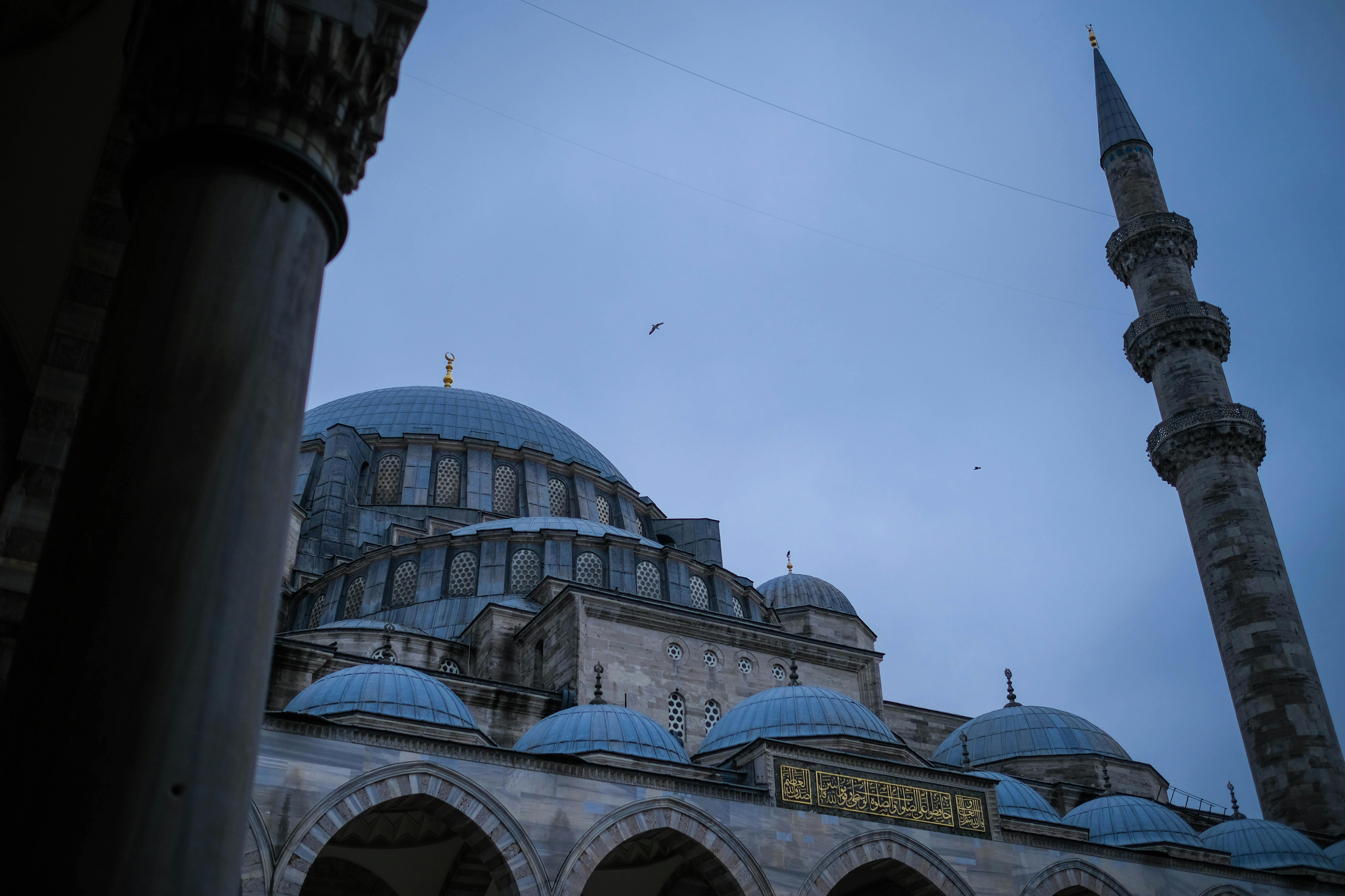 The Blue Mosque · Free Stock Photo