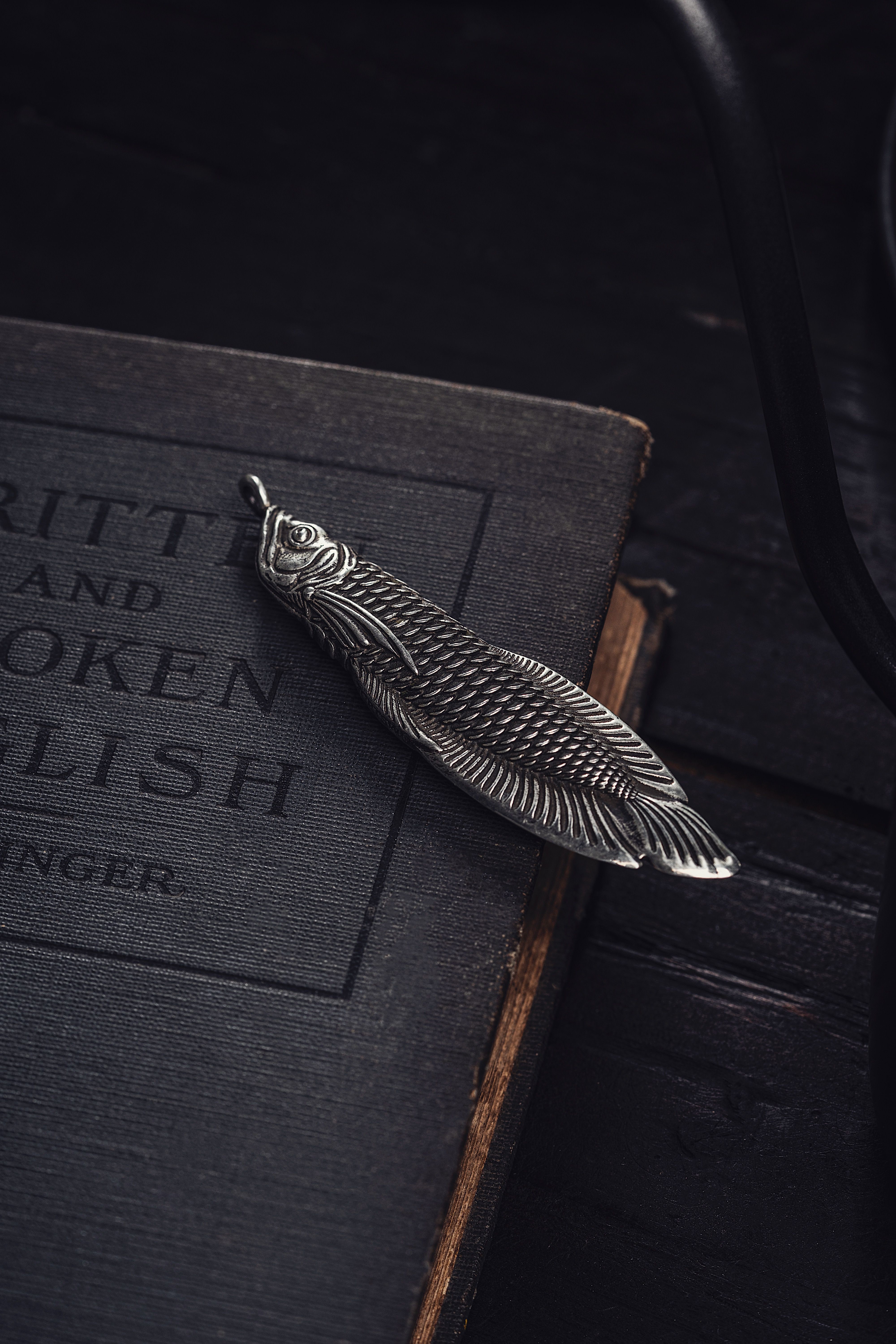 Silver Fish on Book · Free Stock Photo