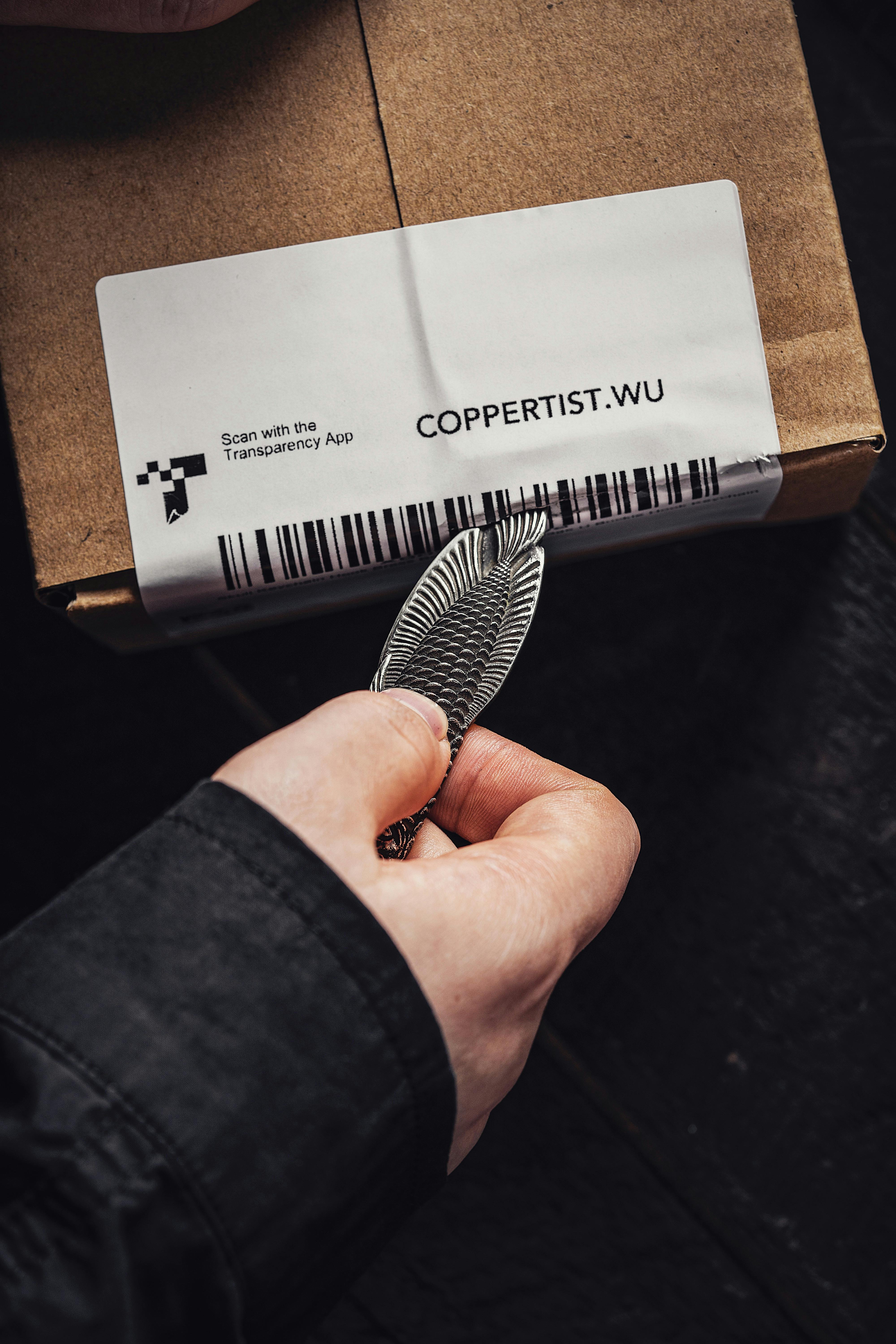 Hand Opening Box with Silver Fish · Free Stock Photo