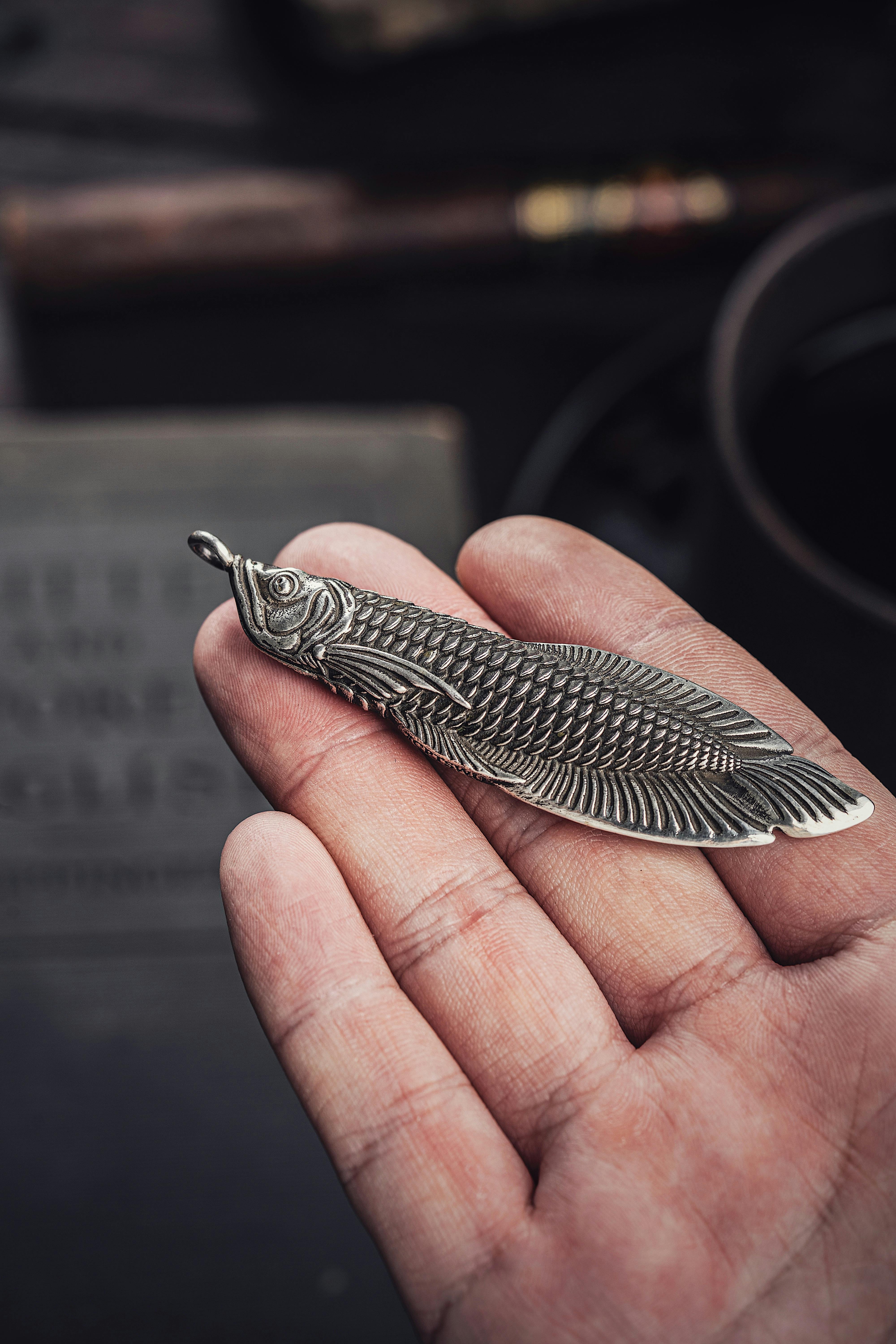 Silver Fish on Hand · Free Stock Photo