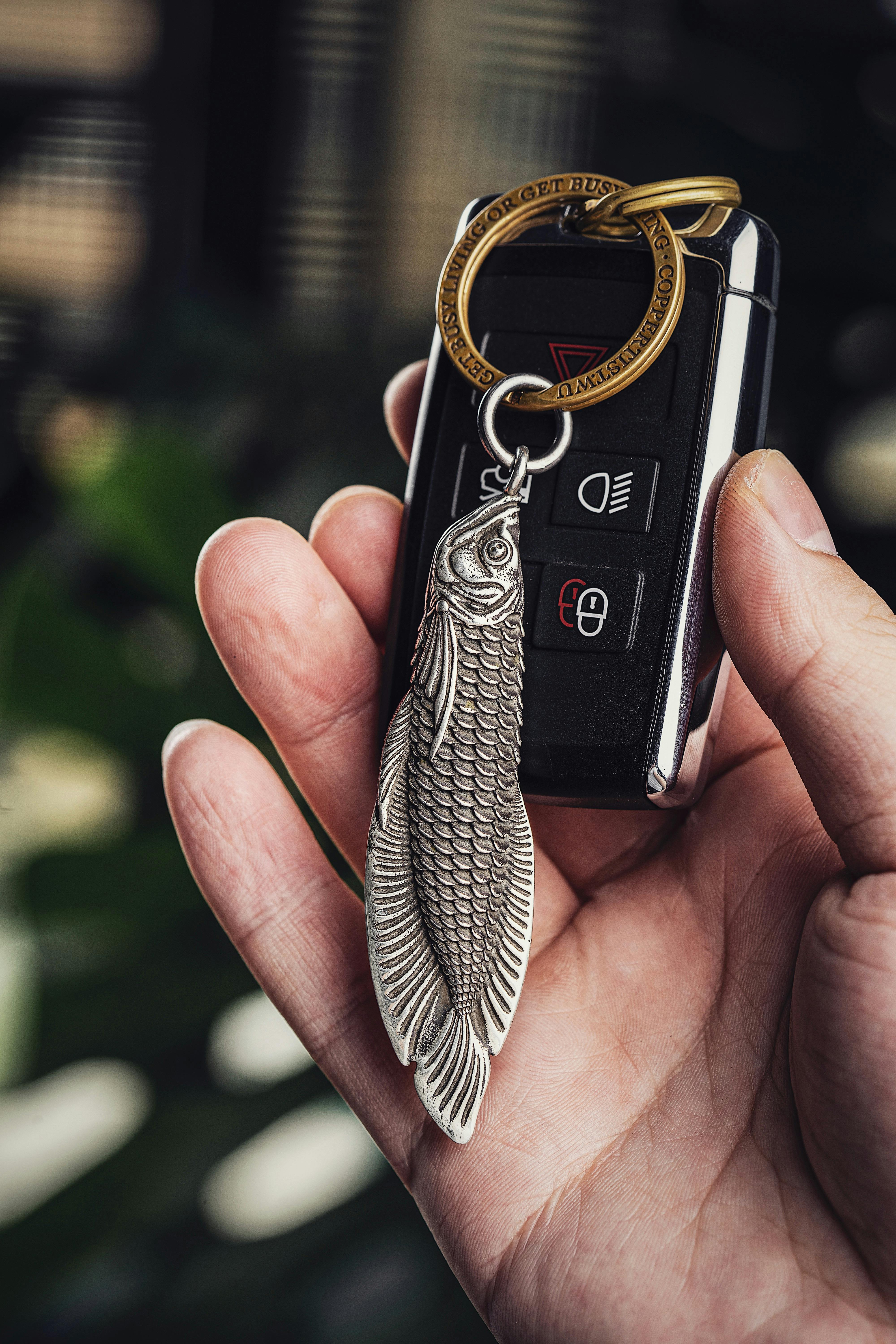 Box Opener Photos, Download The BEST Free Box Opener Stock Photos & HD ...