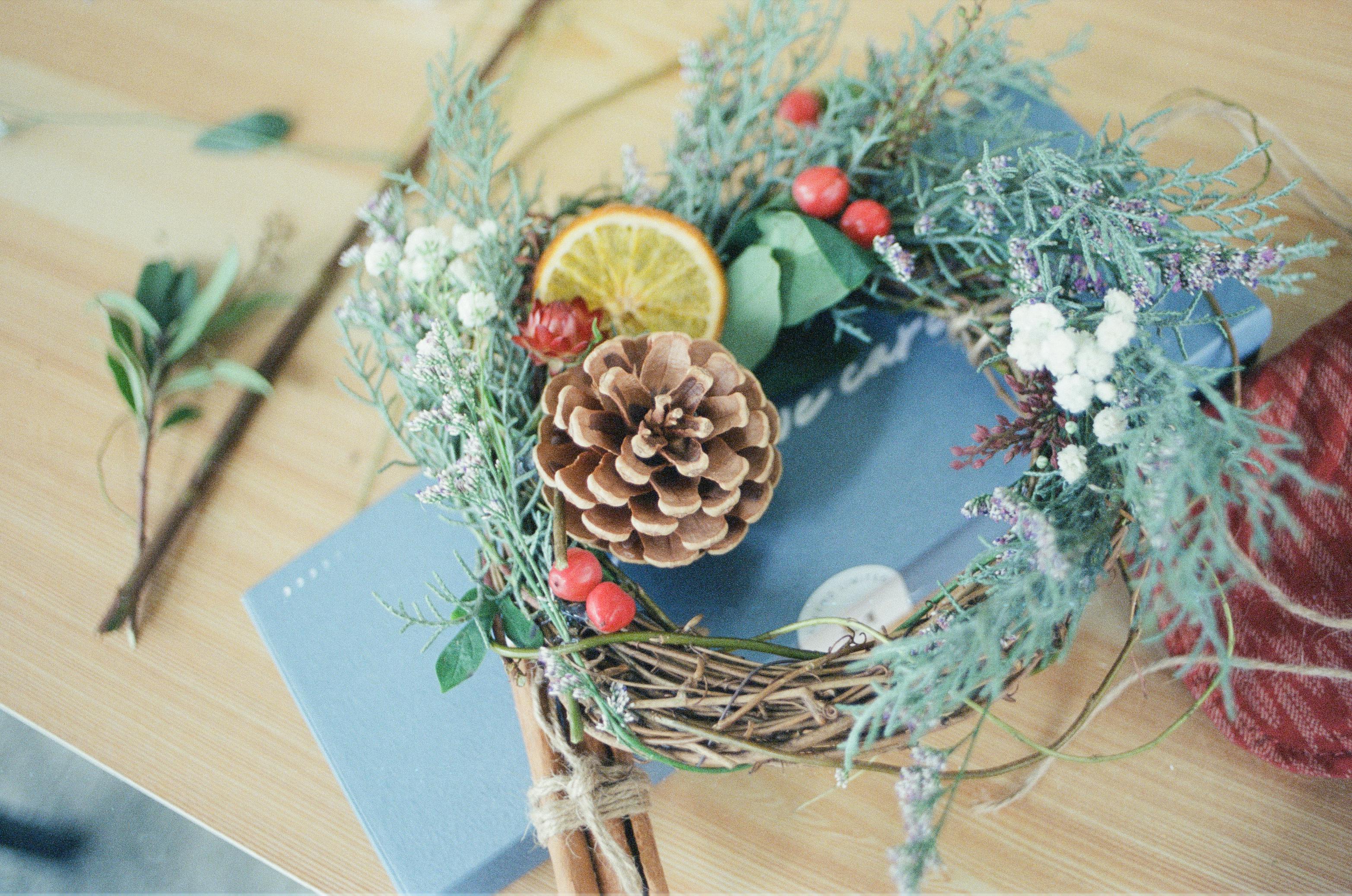 Cone Photos, Download The BEST Free Cone Stock Photos & HD Images