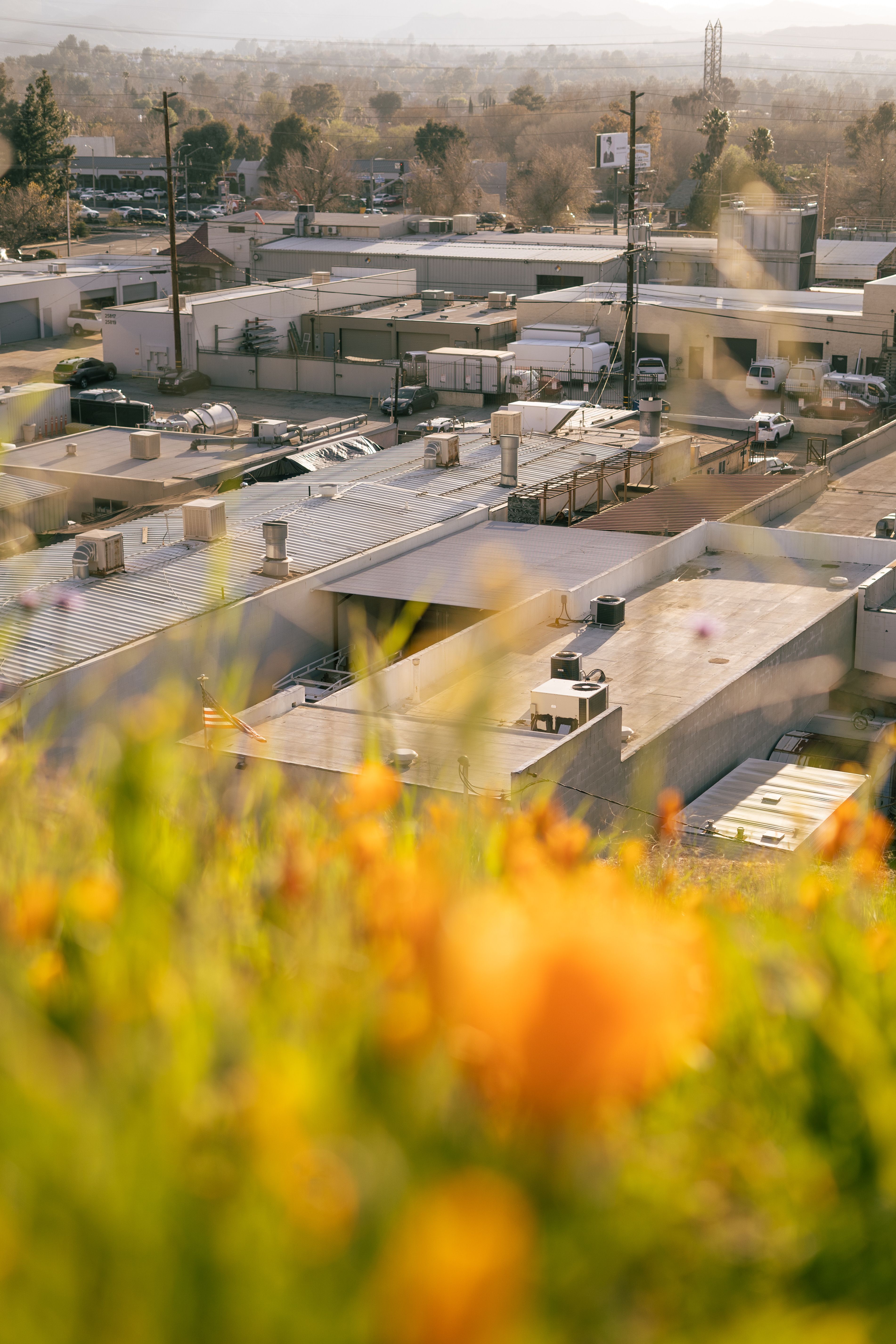 Flowers Town Photos, Download The BEST Free Flowers Town Stock Photos ...