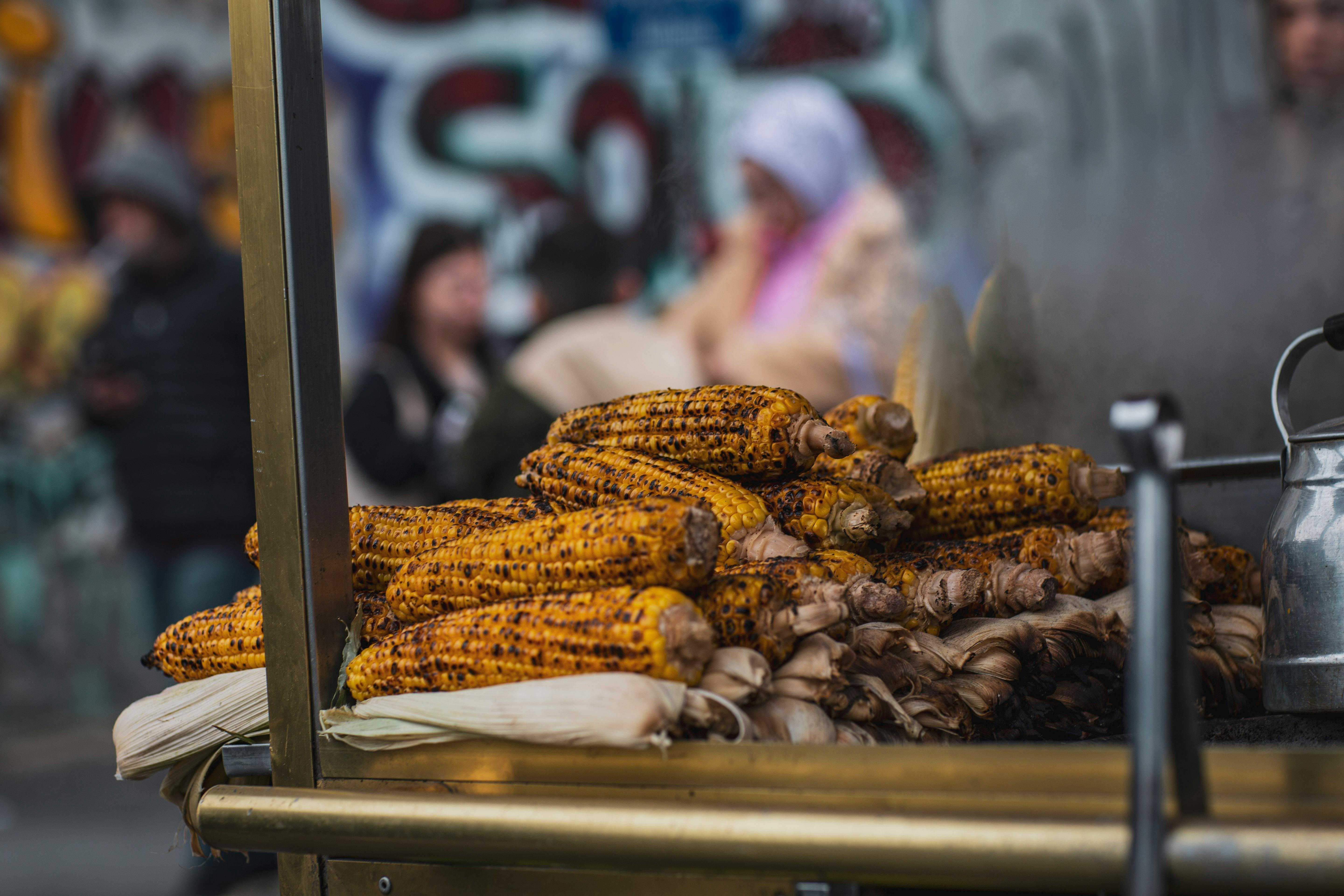 Baked Corn on Food Stand · Free Stock Photo