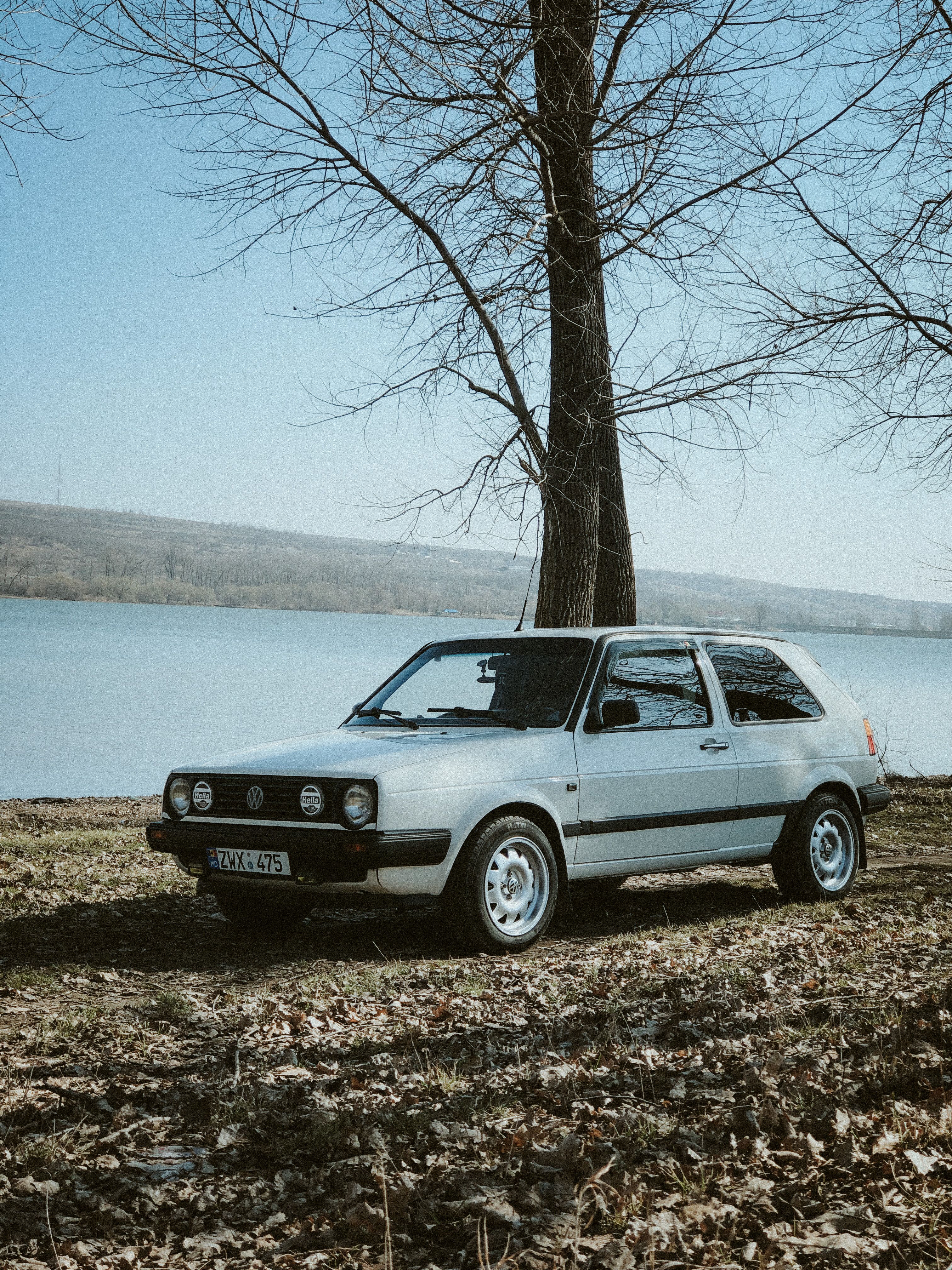 Retro Car near Tree on River Bank · Free Stock Photo