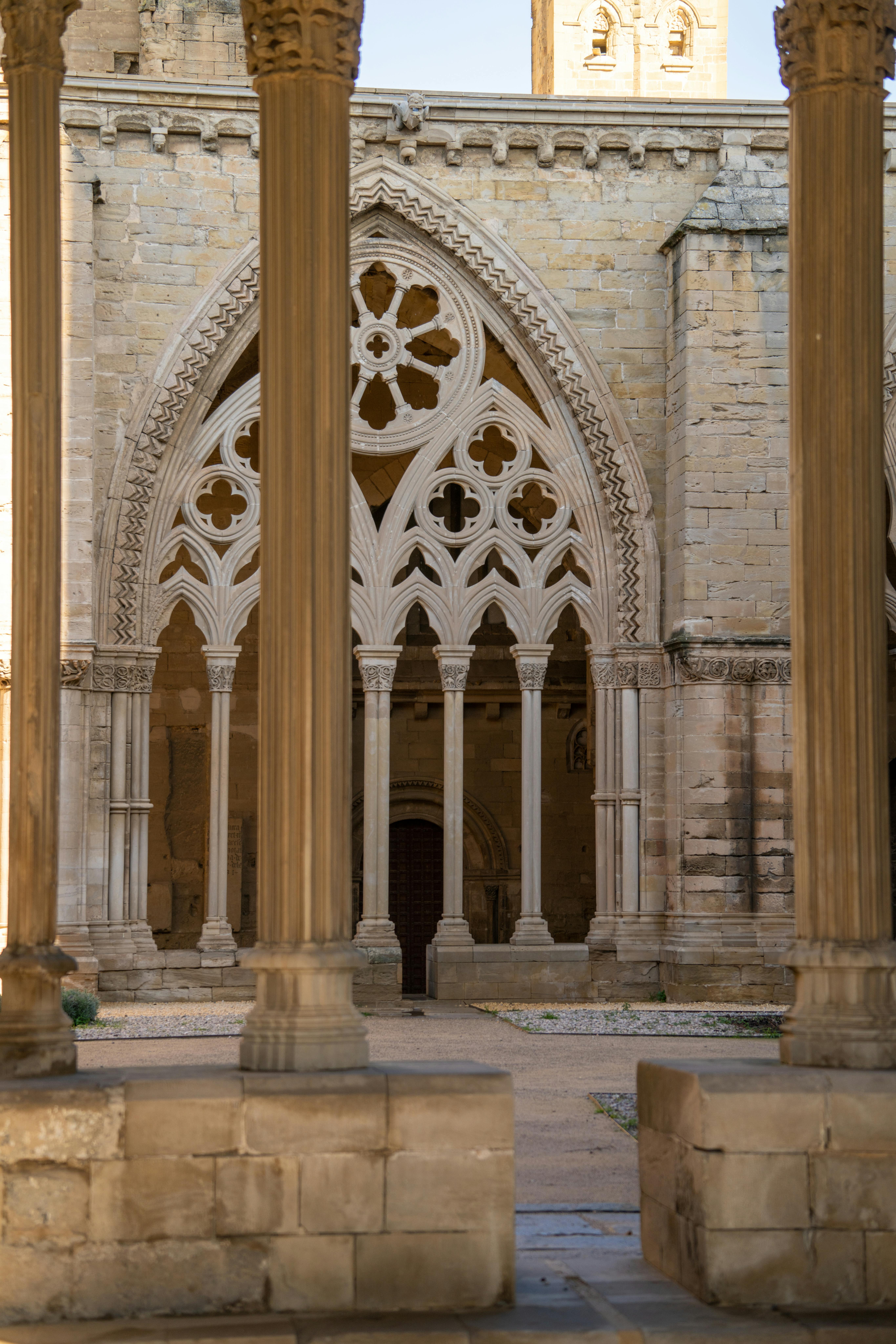 Nico Becker - 摄影