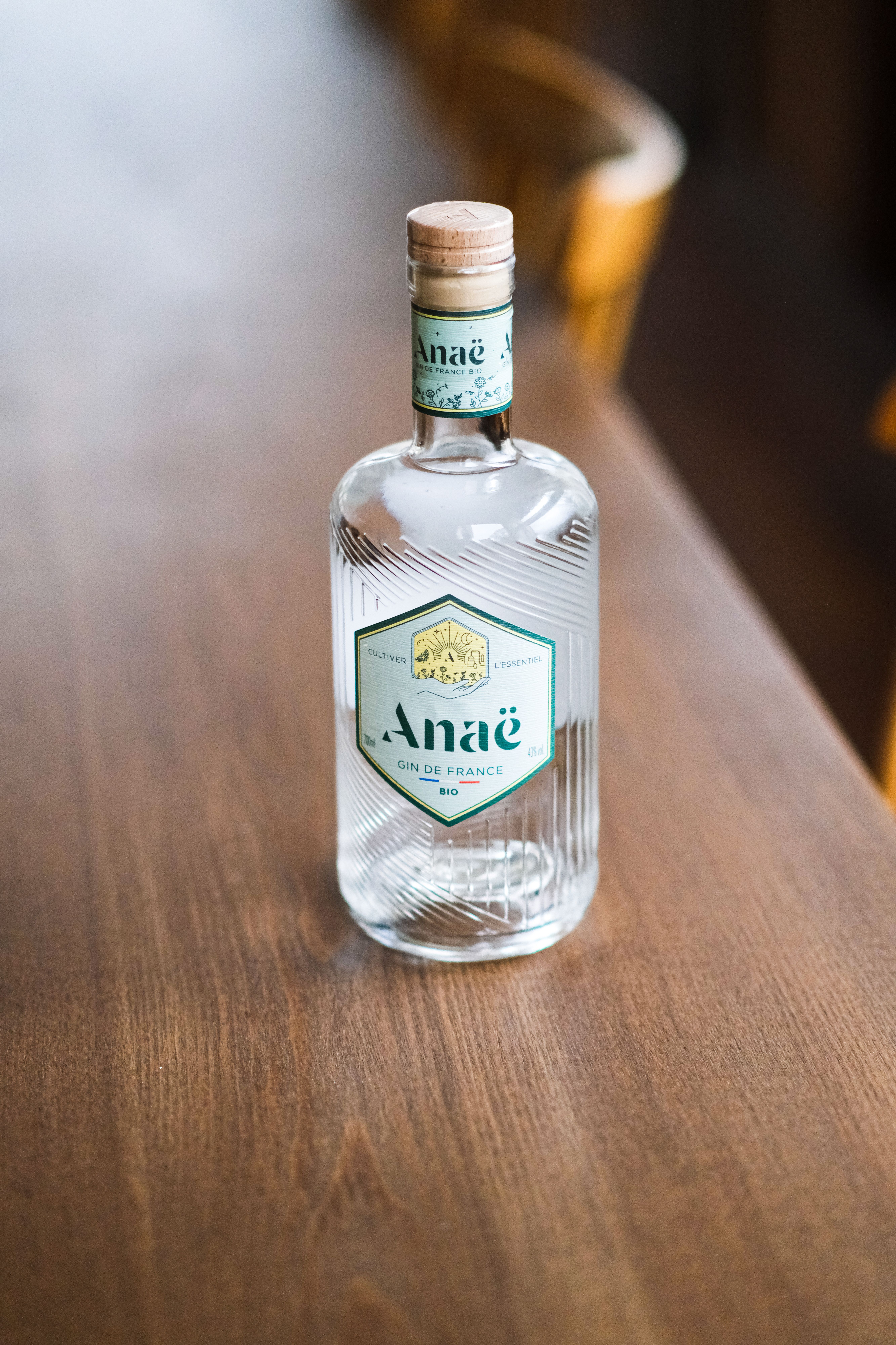 Glass Bottle of Gin · Free Stock Photo
