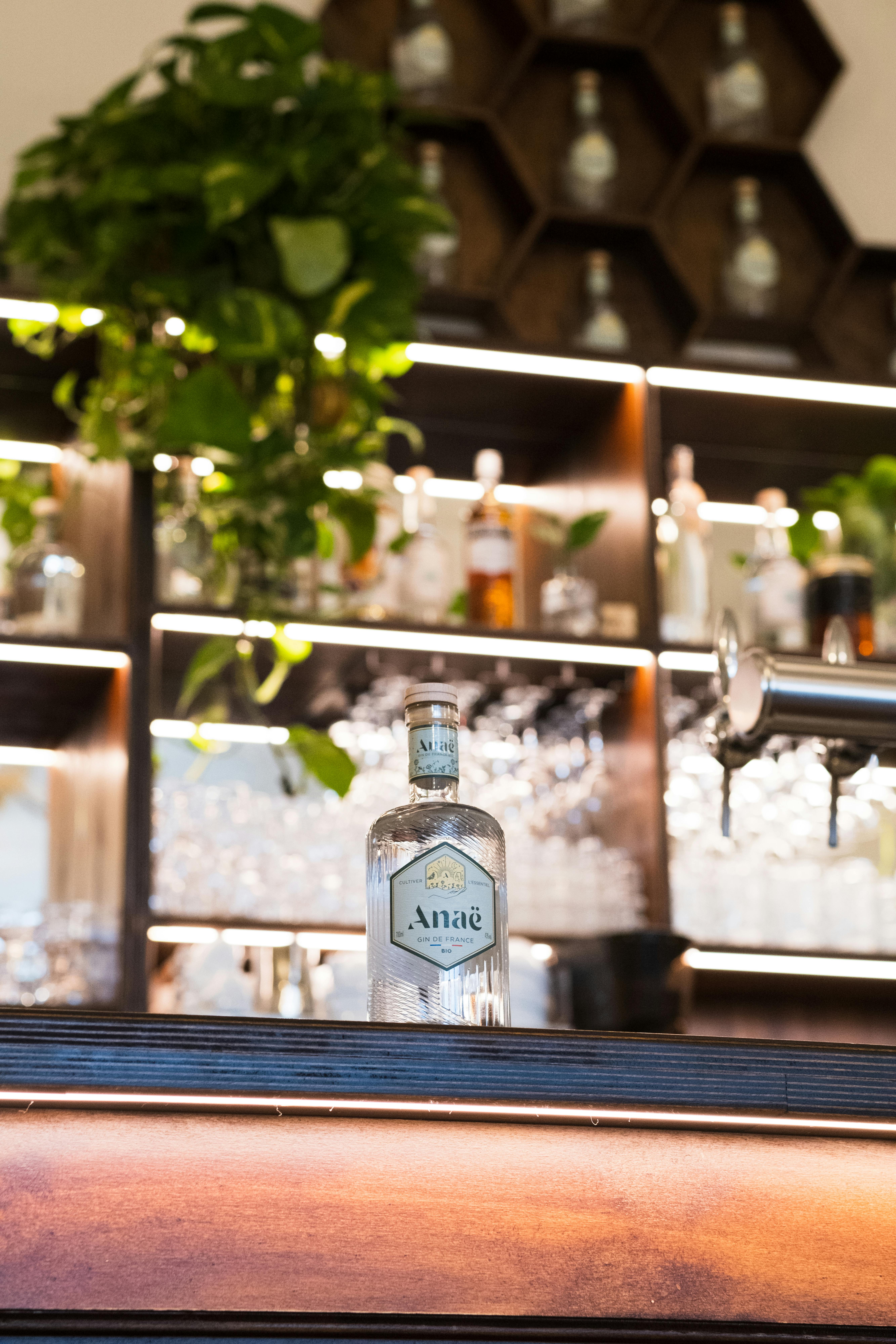 Gin Bottle on Bar Counter · Free Stock Photo