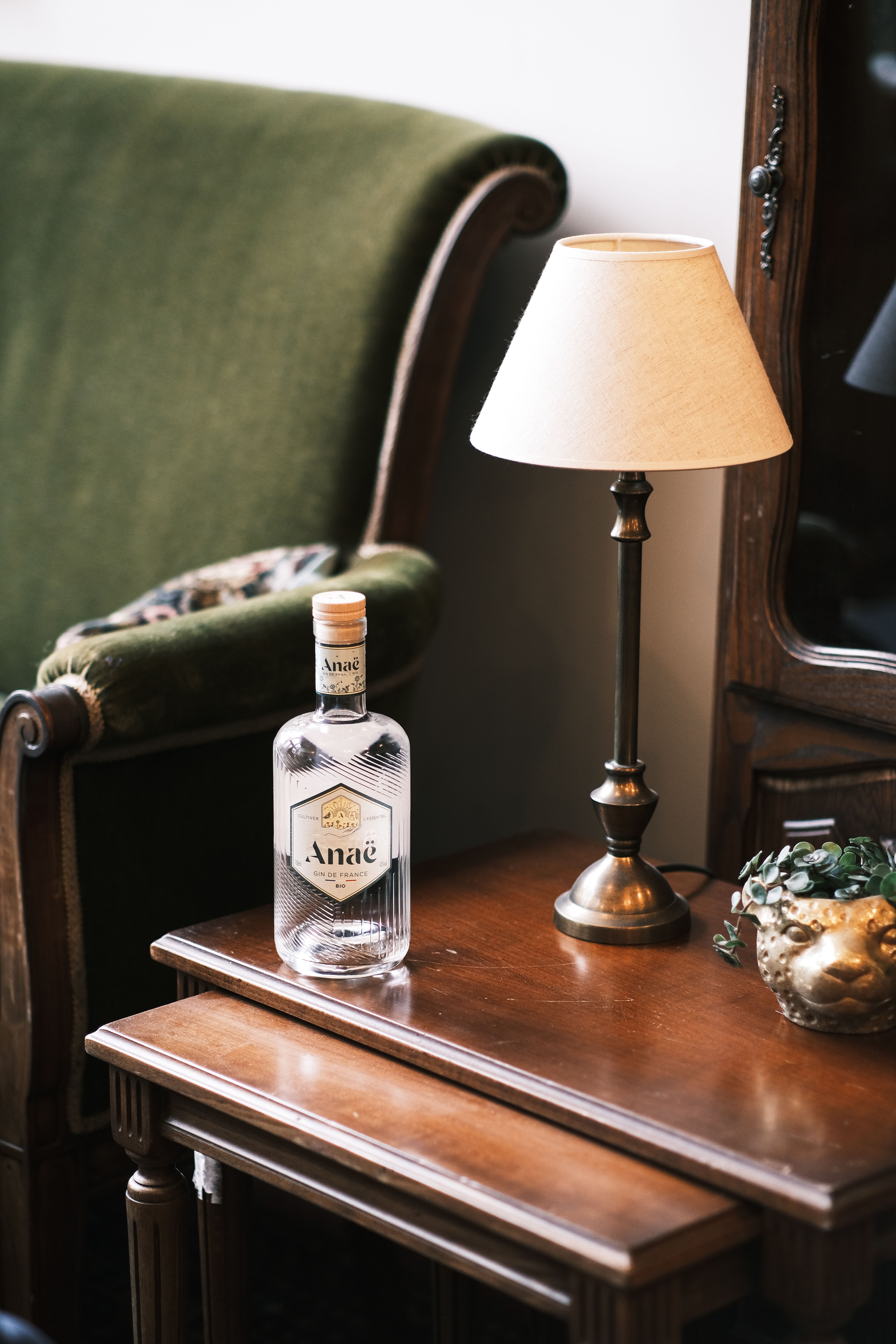 Bottle of Gin · Free Stock Photo