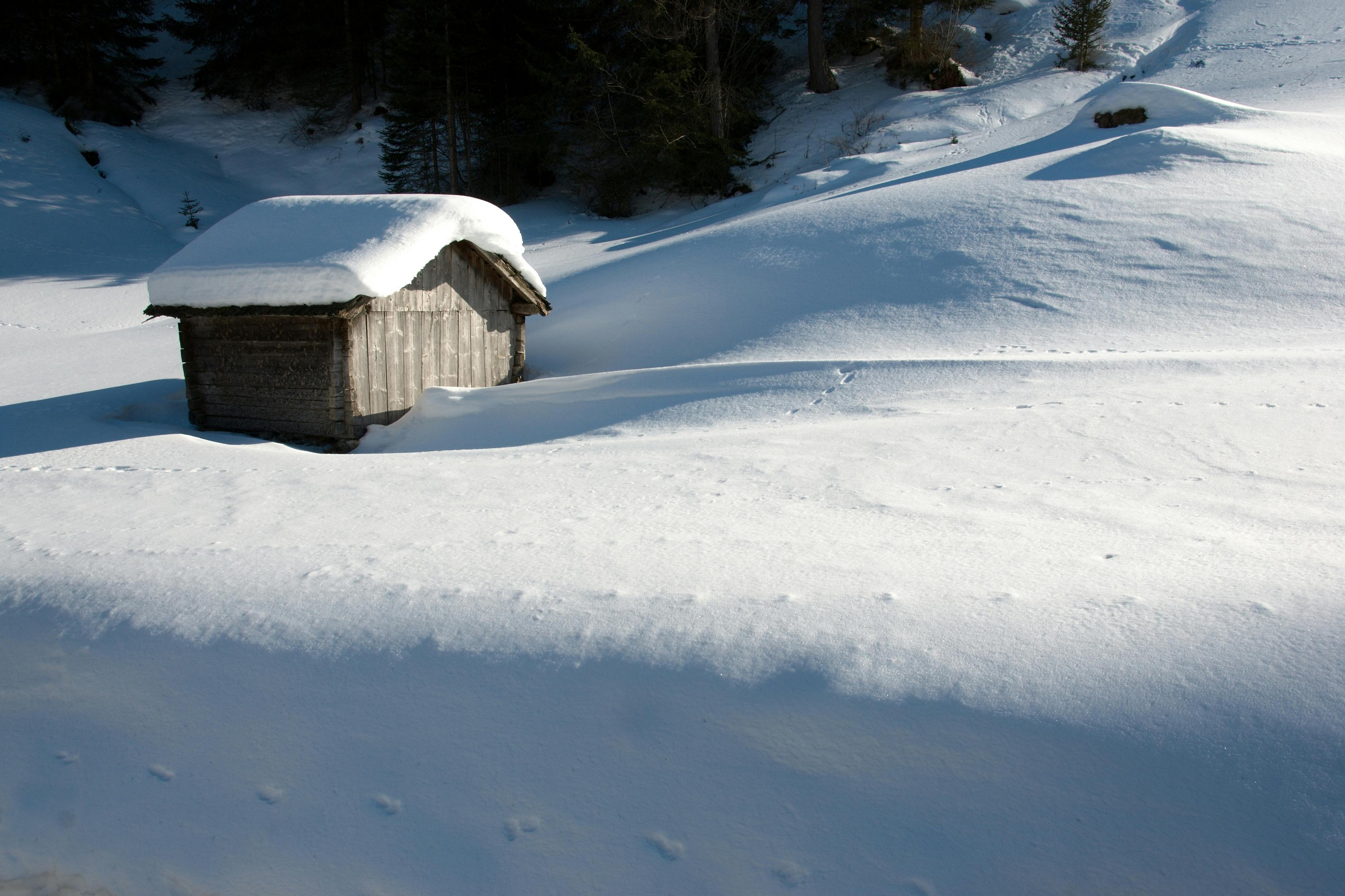 Wooden Shed in Snow · Free Stock Photo