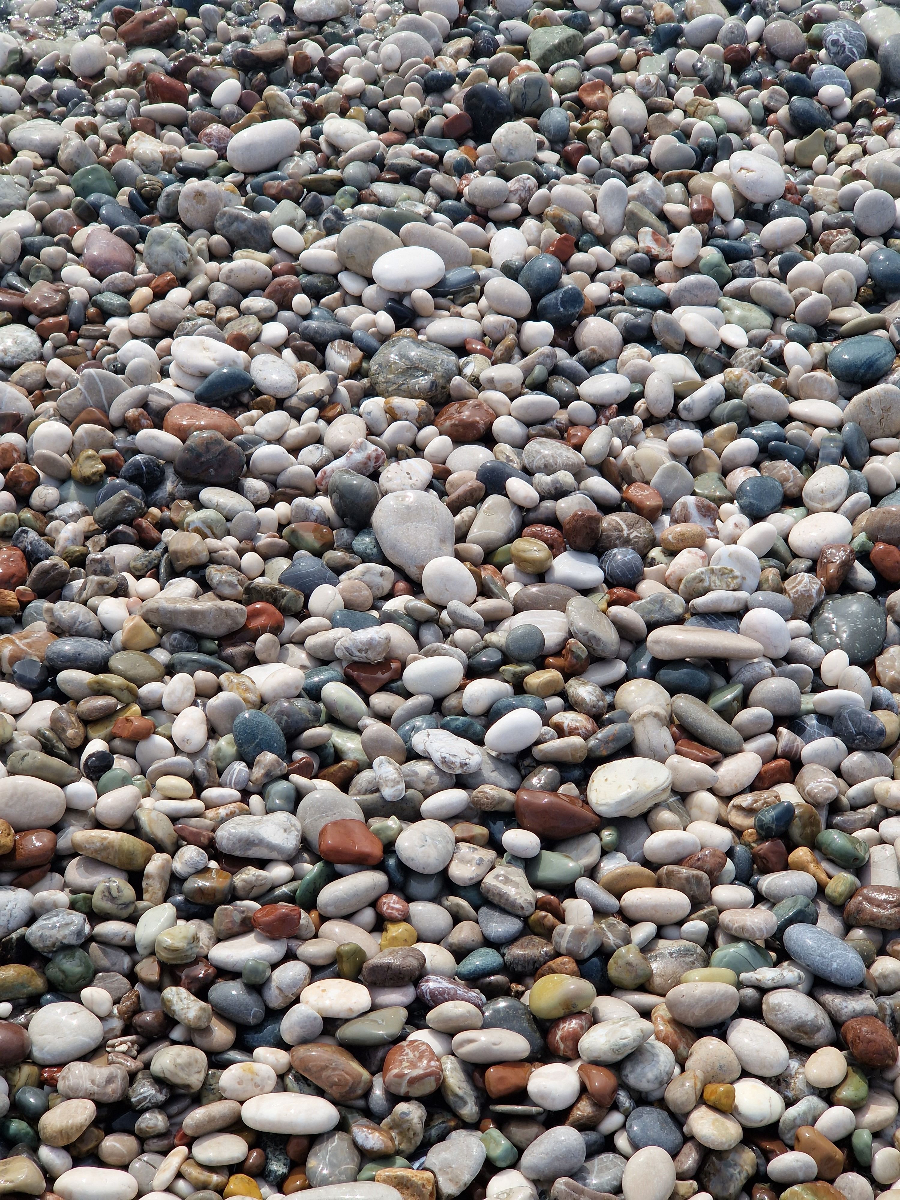 Rocks on the Ground · Free Stock Photo