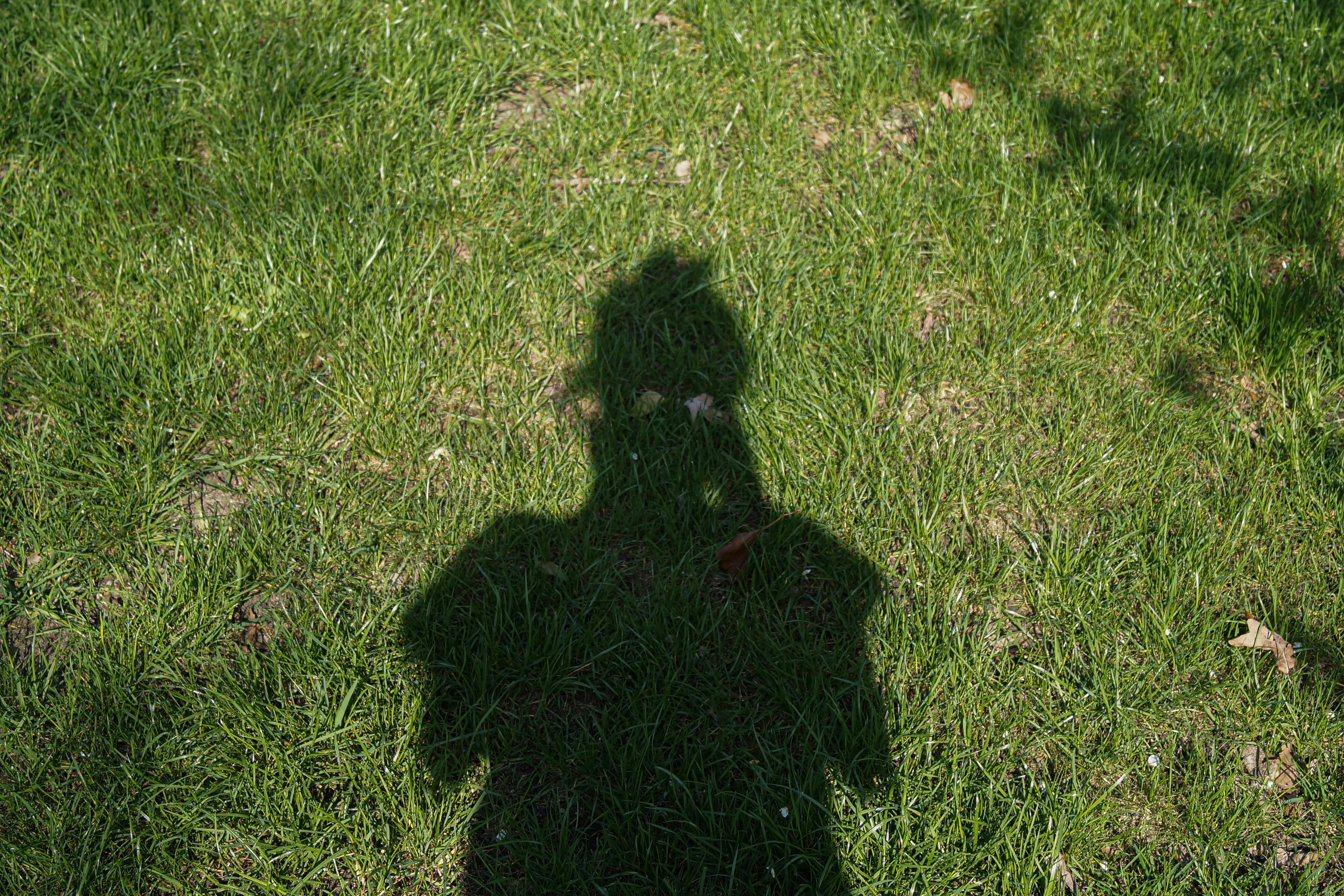 Shadow of Person Standing on Grass · Free Stock Photo