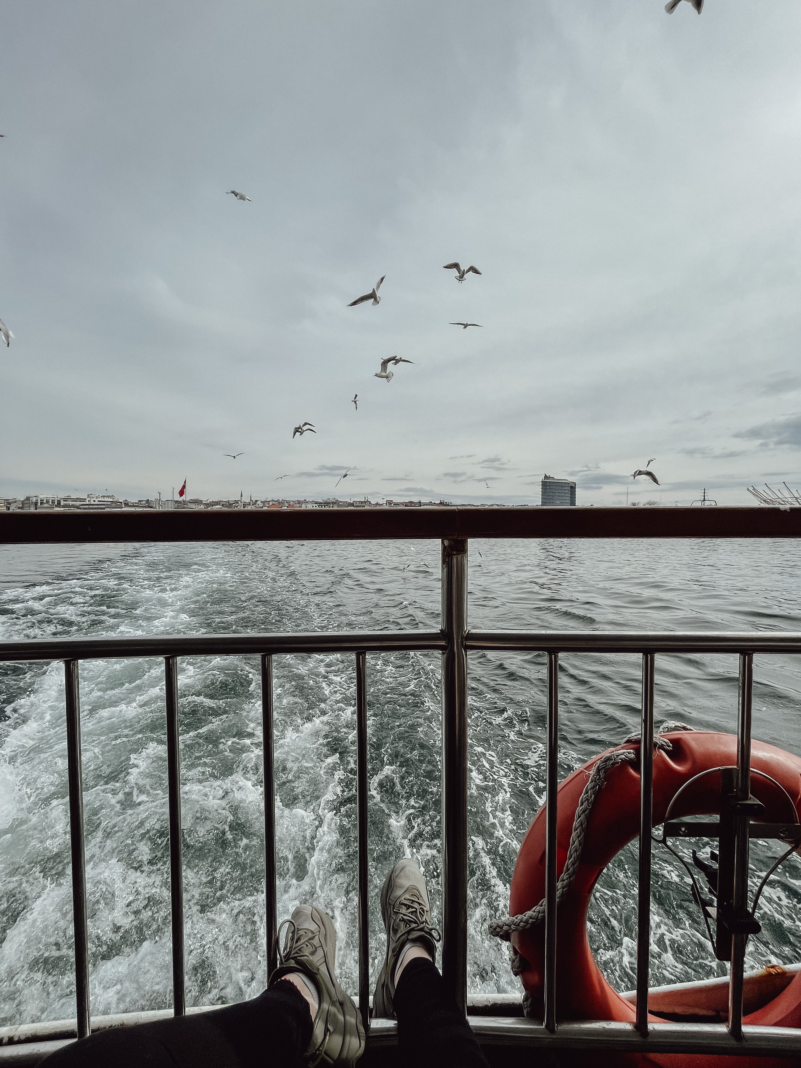 Foto de stock gratuita sobre agua, baraja, barca, barco, ferry ...
