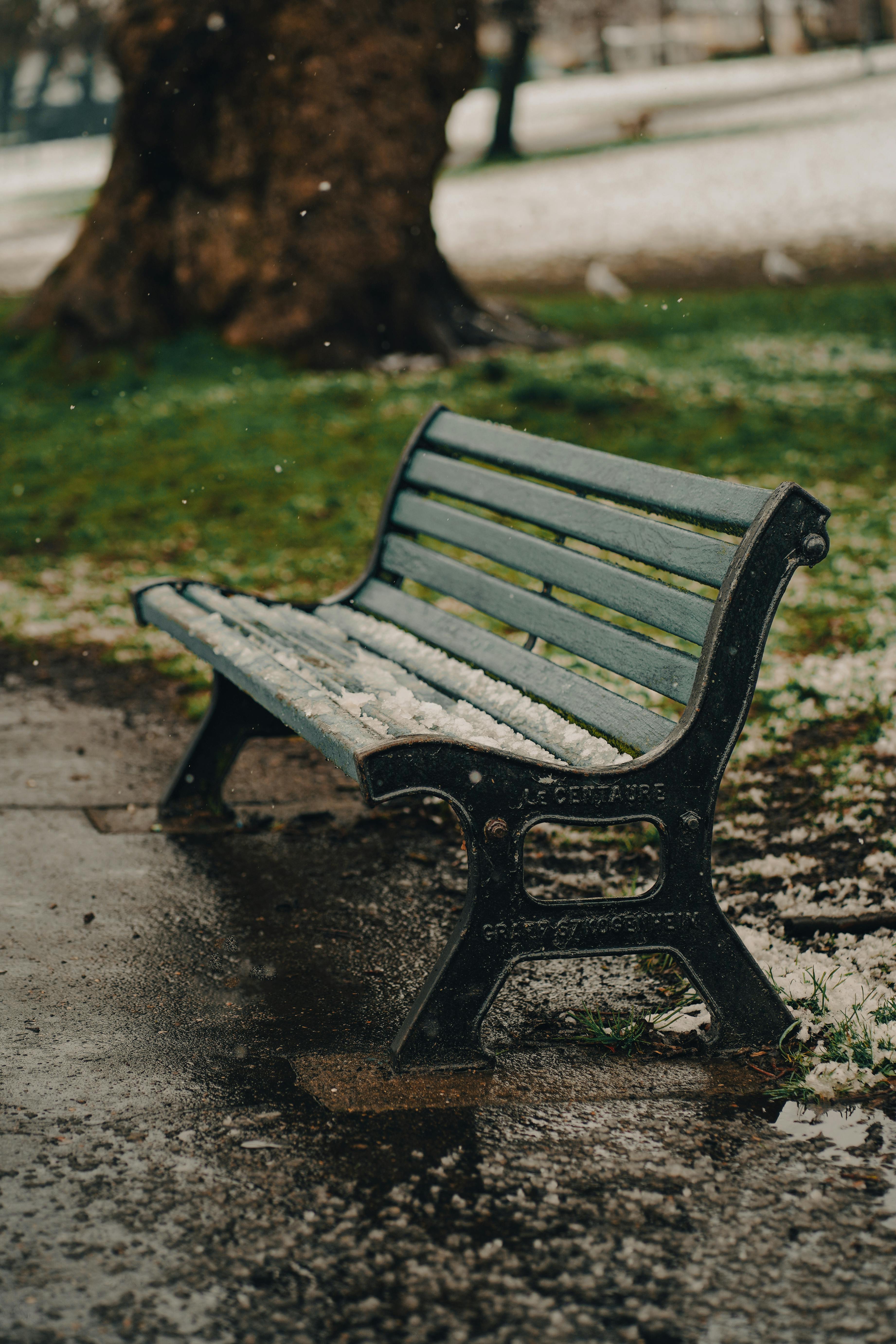 Bench in Park during Rain · Free Stock Photo