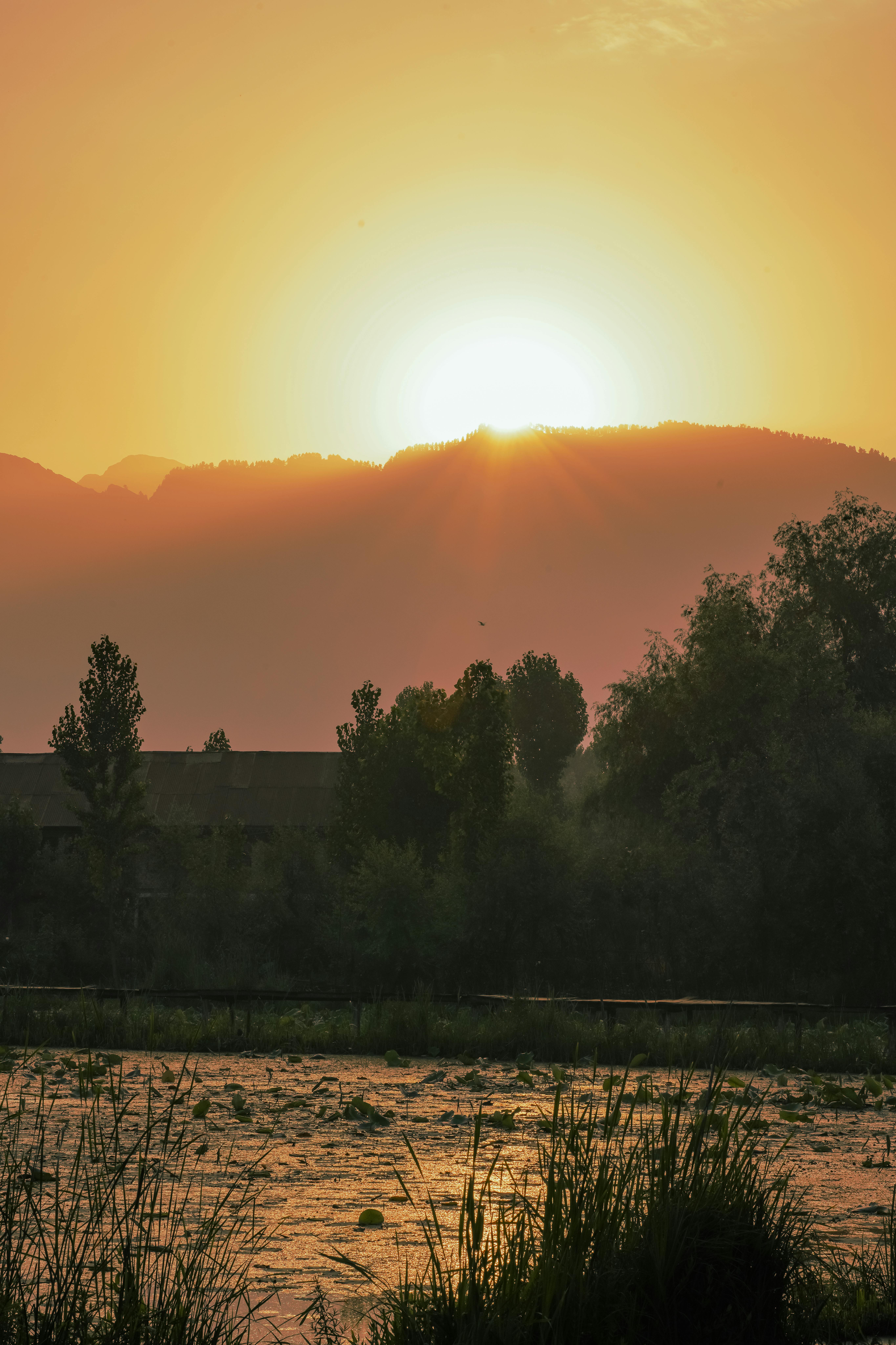 Golden Sunset behind Mountains · Free Stock Photo