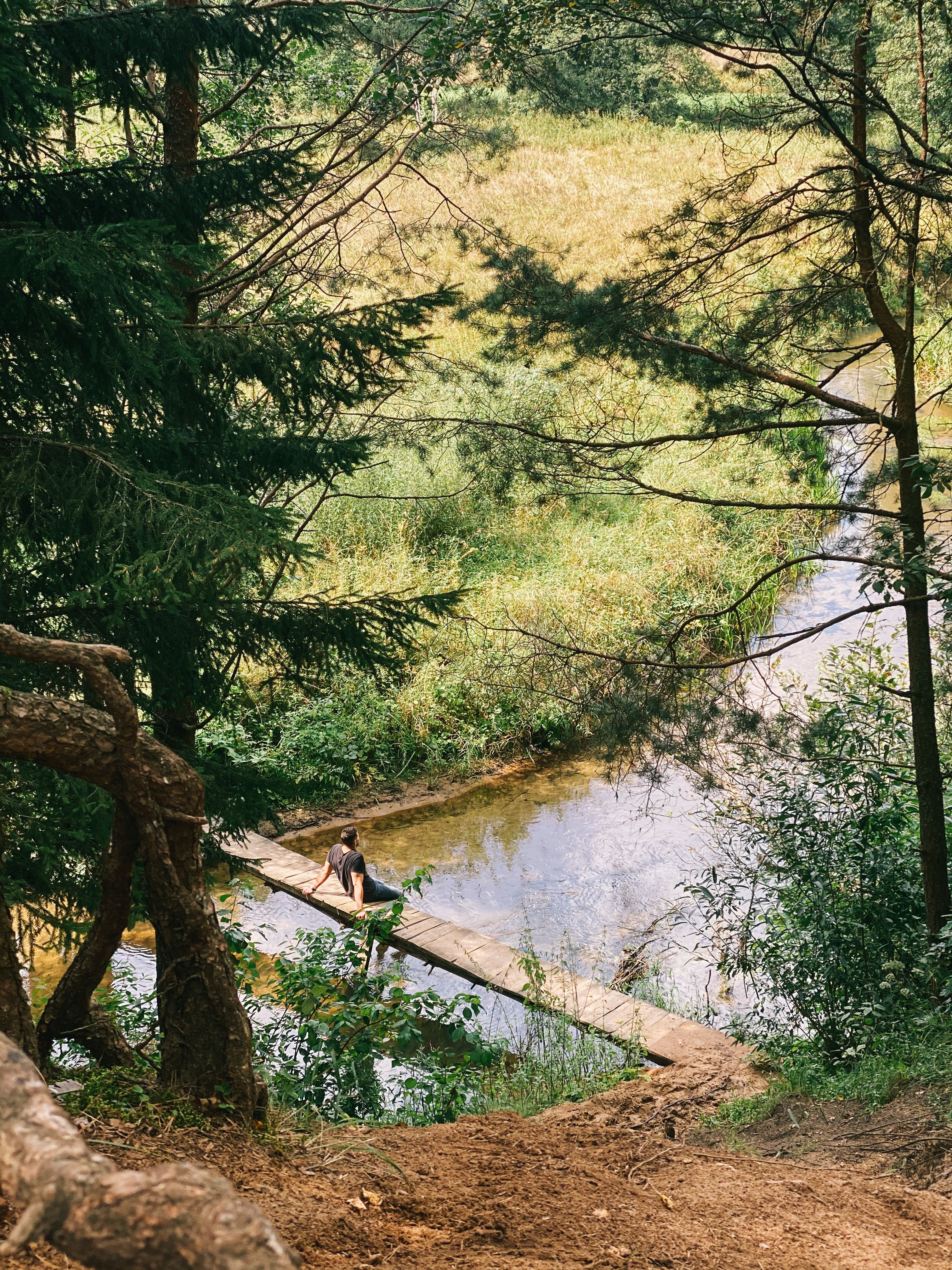 High Angle View of Green Trees and a Man Sitting on a Wooden Footbridge ...