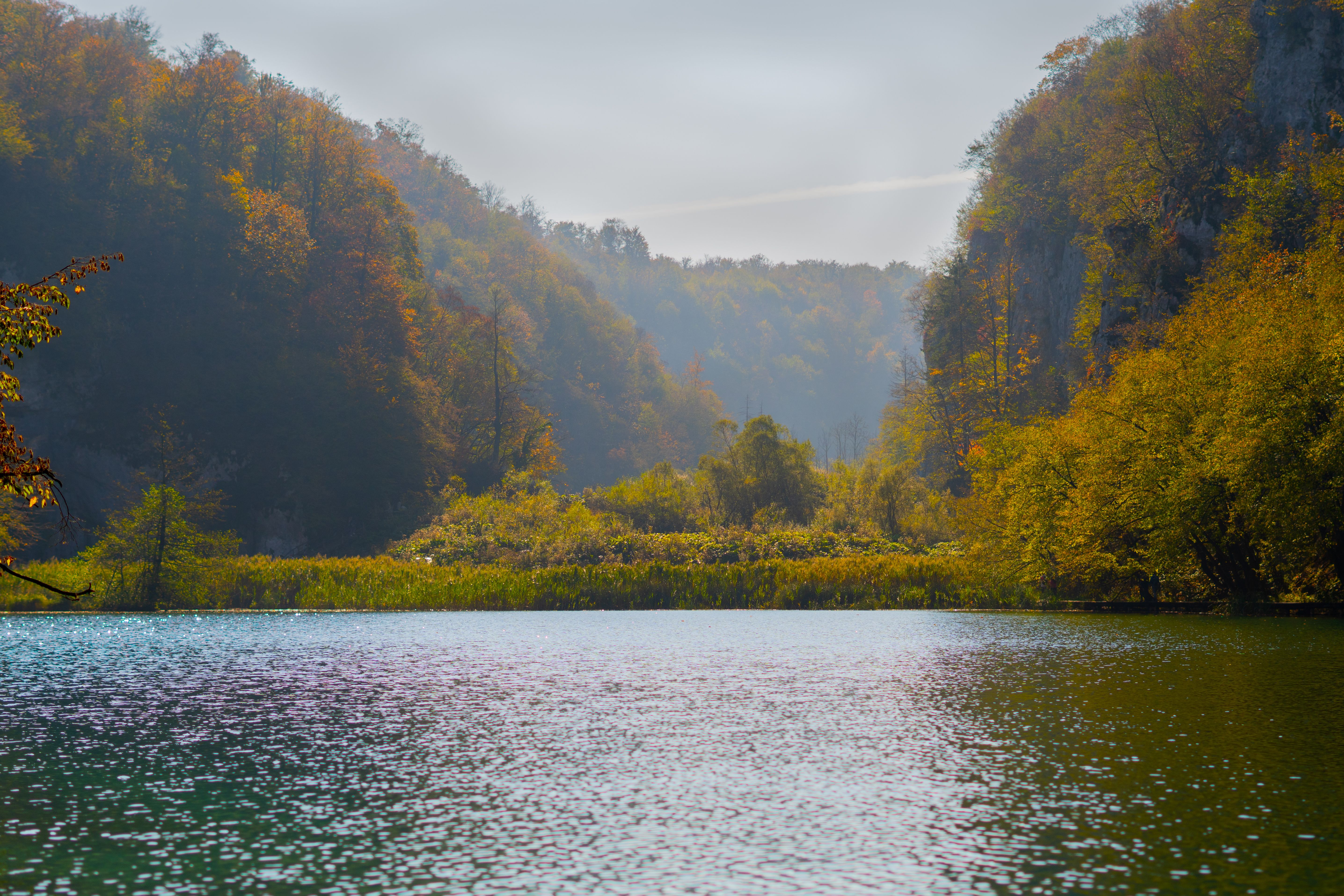 River in Valley · Free Stock Photo