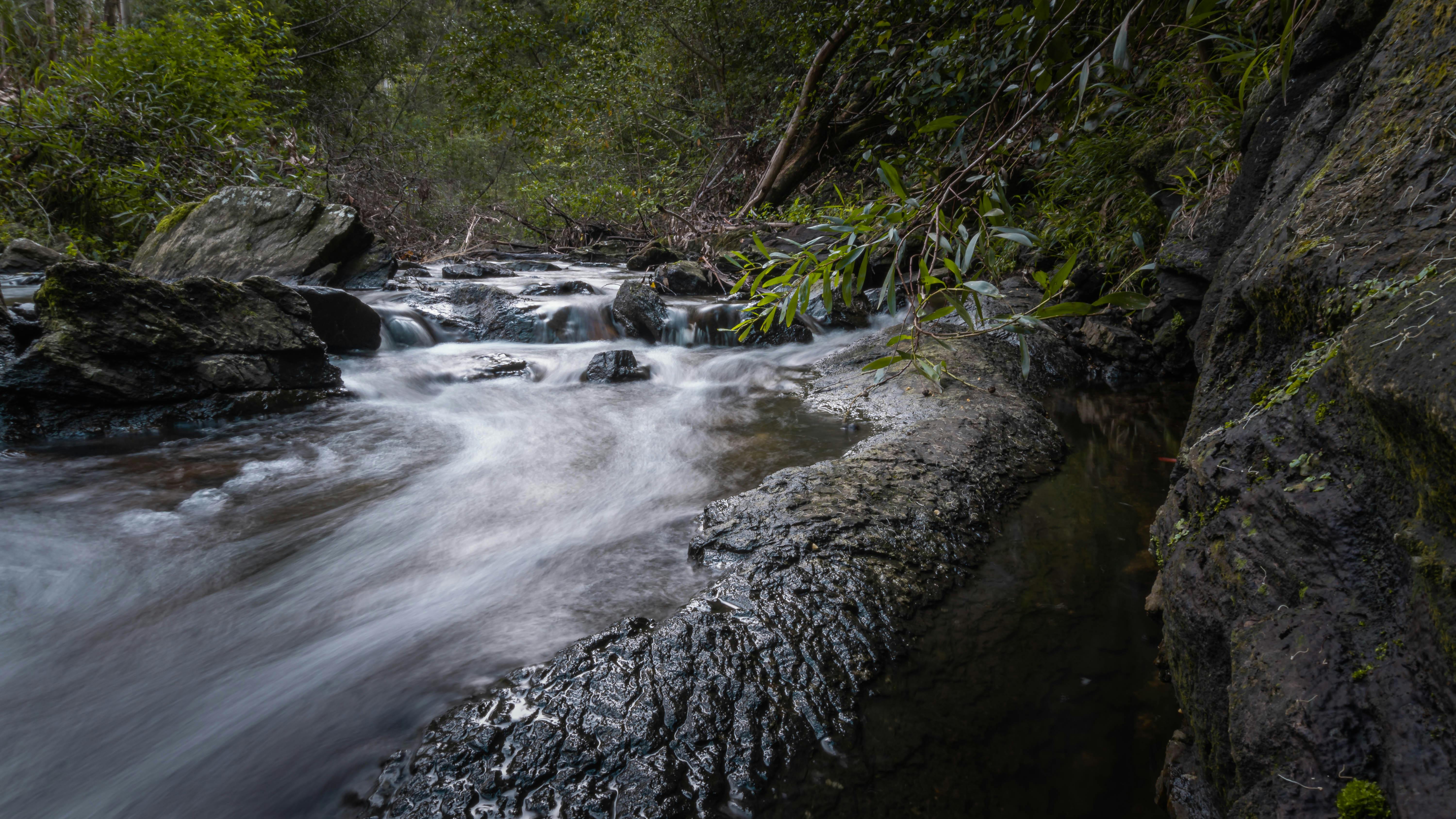 River Rocks Photos, Download The BEST Free River Rocks Stock Photos ...