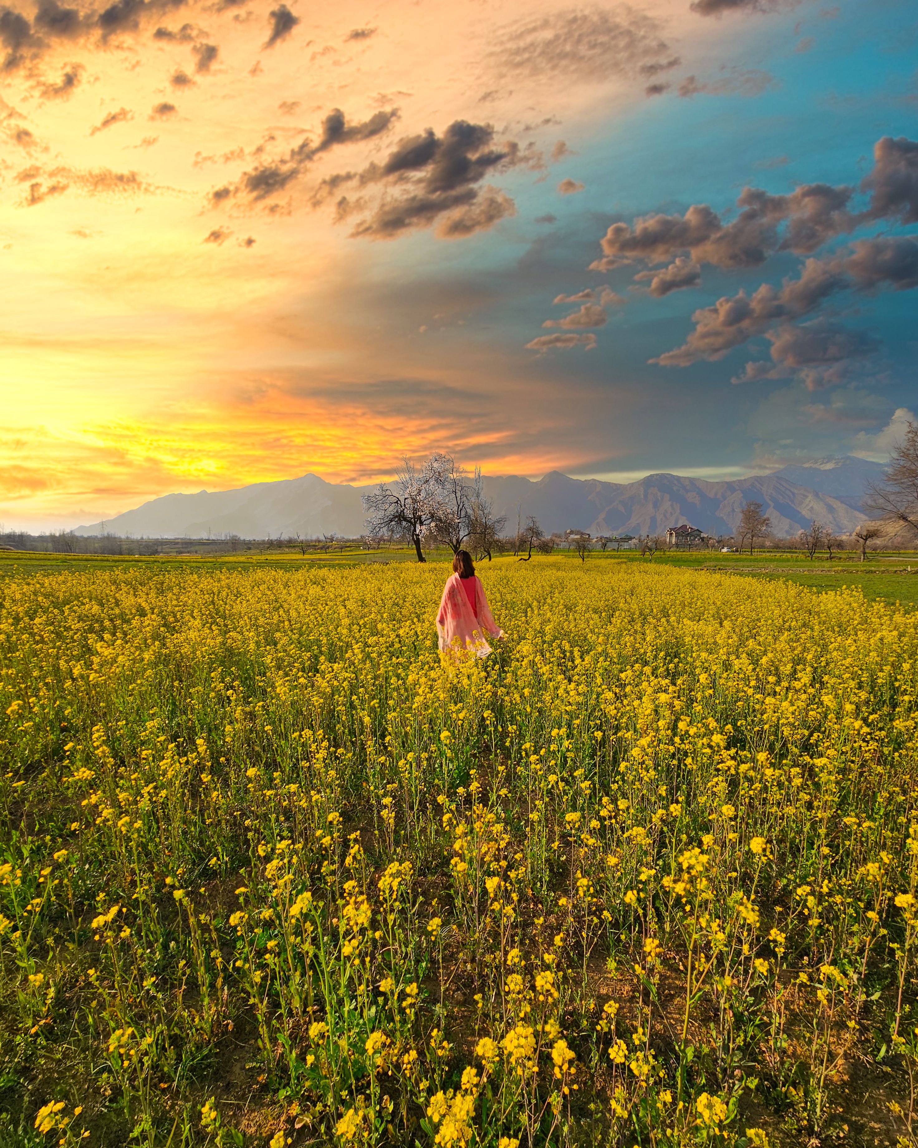 Person Walking on Blooming Meadow · Free Stock Photo