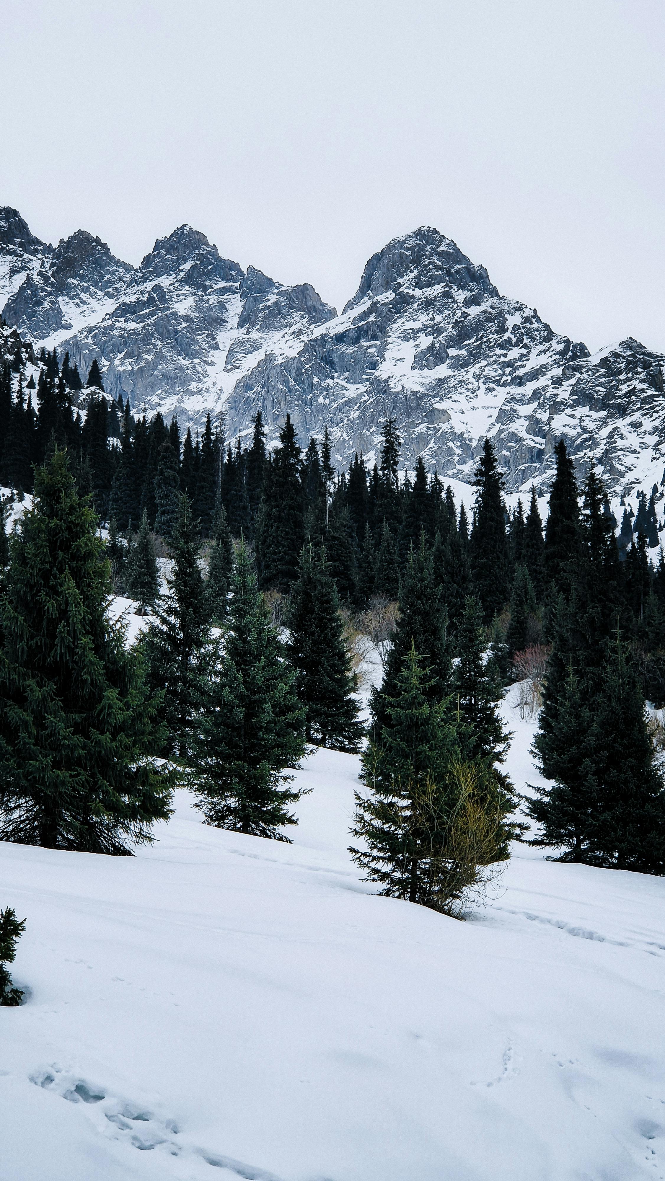 Rural Landscape Photos, Download The BEST Free Rural Landscape Stock ...