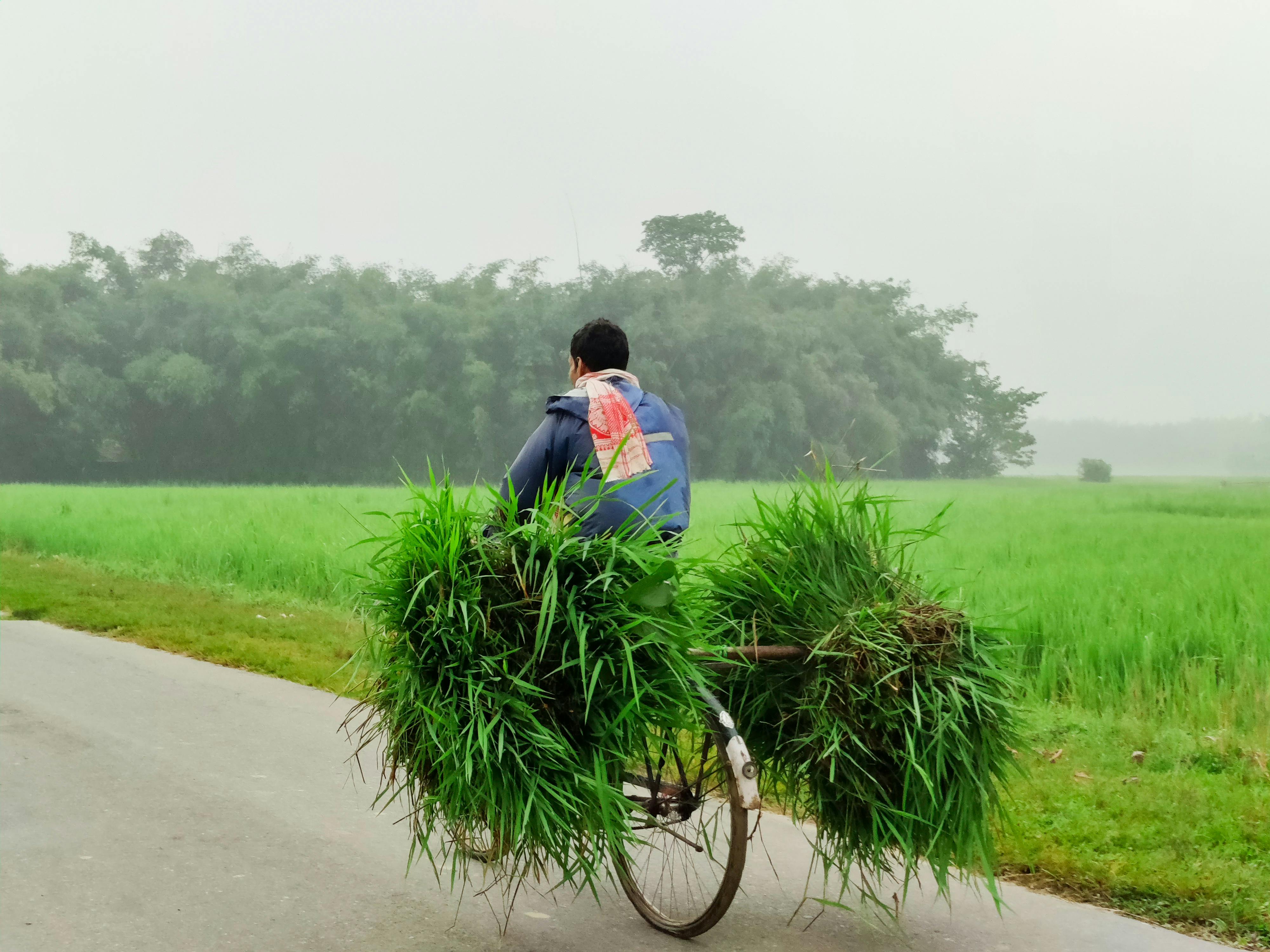 Bicycle Barn Photos, Download The BEST Free Bicycle Barn Stock Photos ...