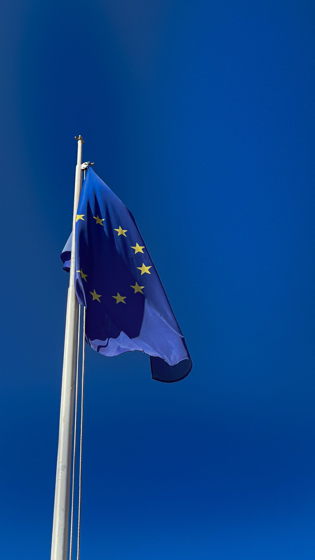 European Flag Photos, Download The BEST Free European Flag Stock Photos ...