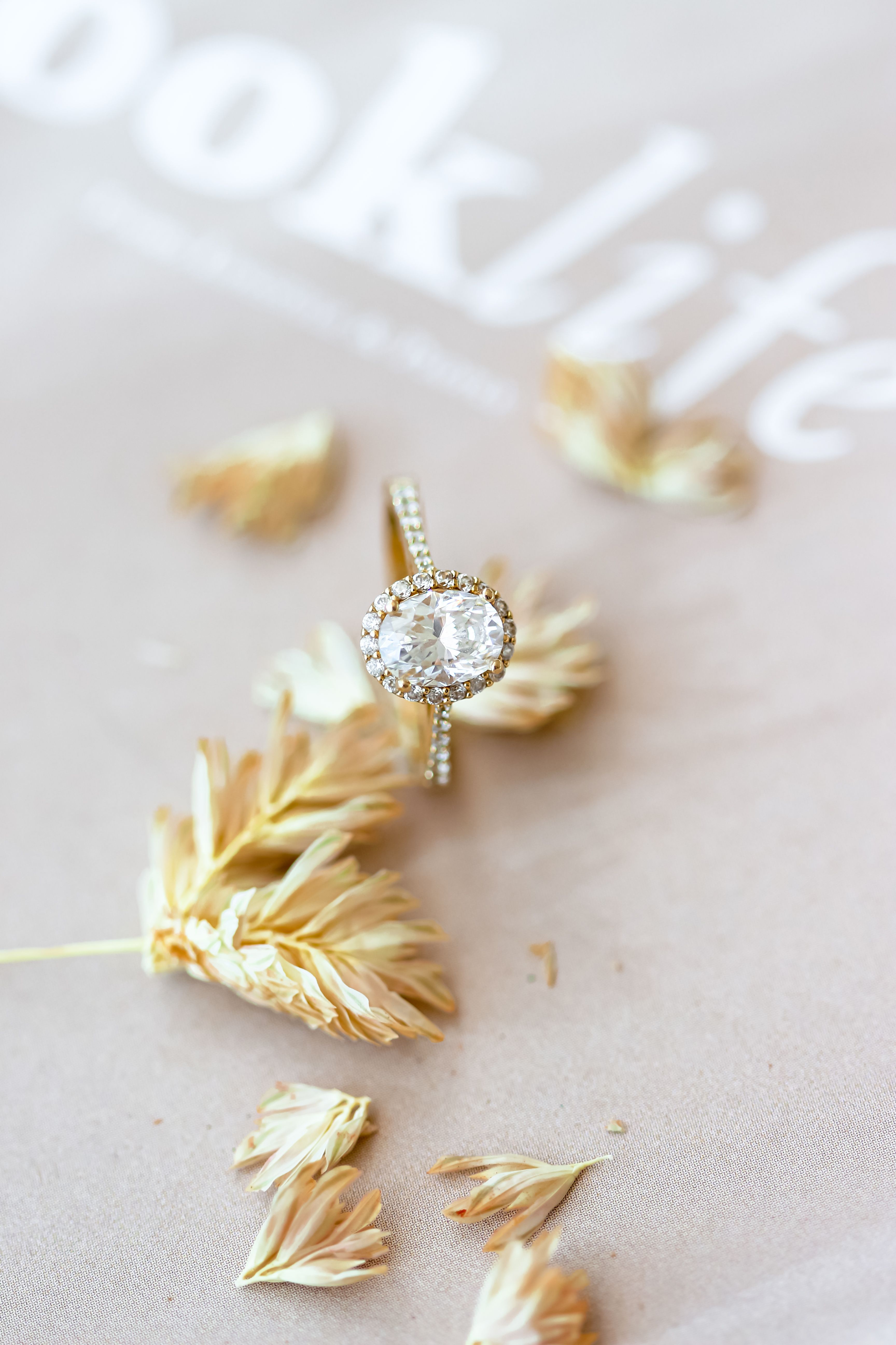 Ring with Gem · Free Stock Photo