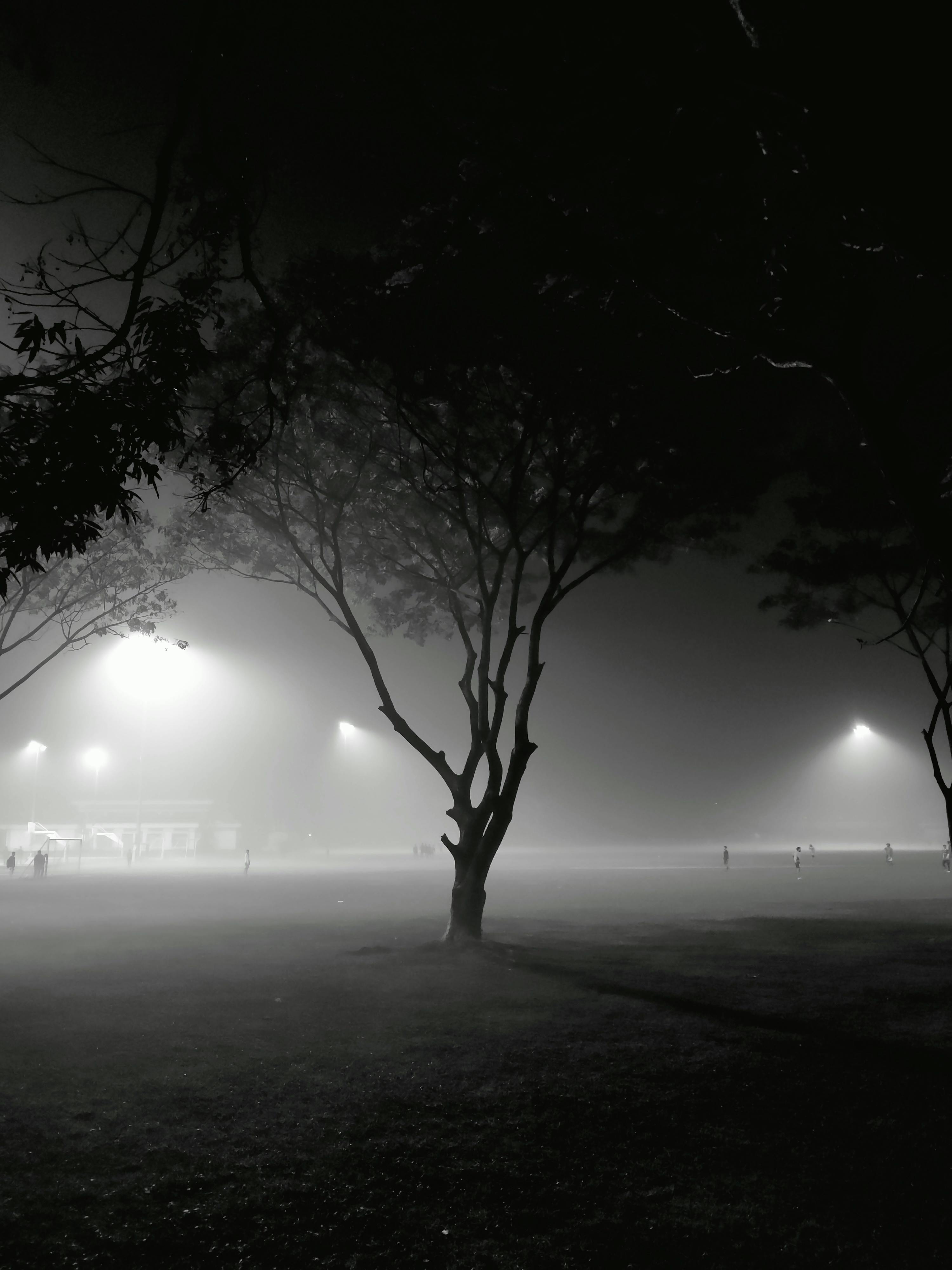 Illuminated Soccer Pitch at Night · Free Stock Photo