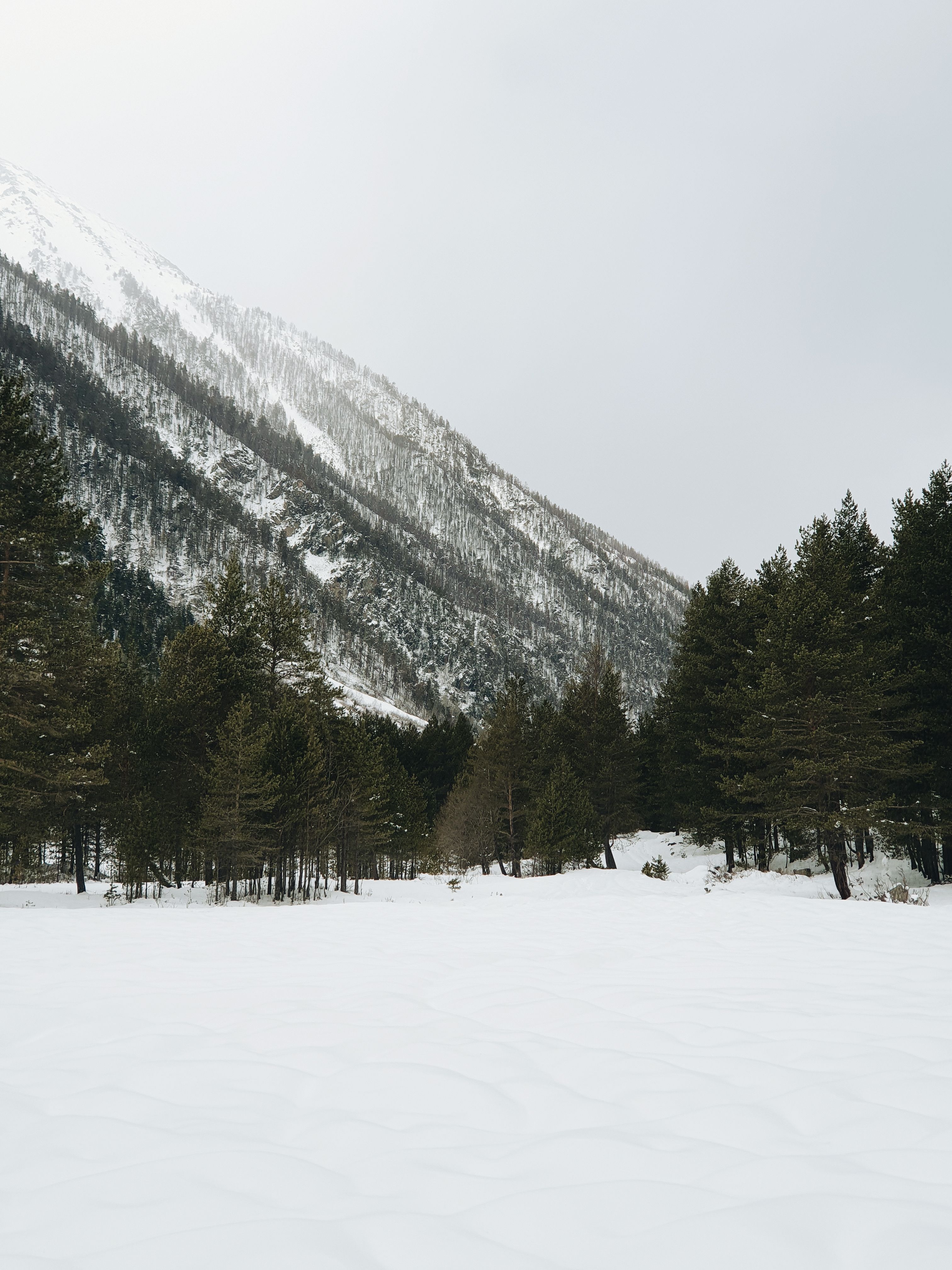 Snowed Mountain Valley · Free Stock Photo