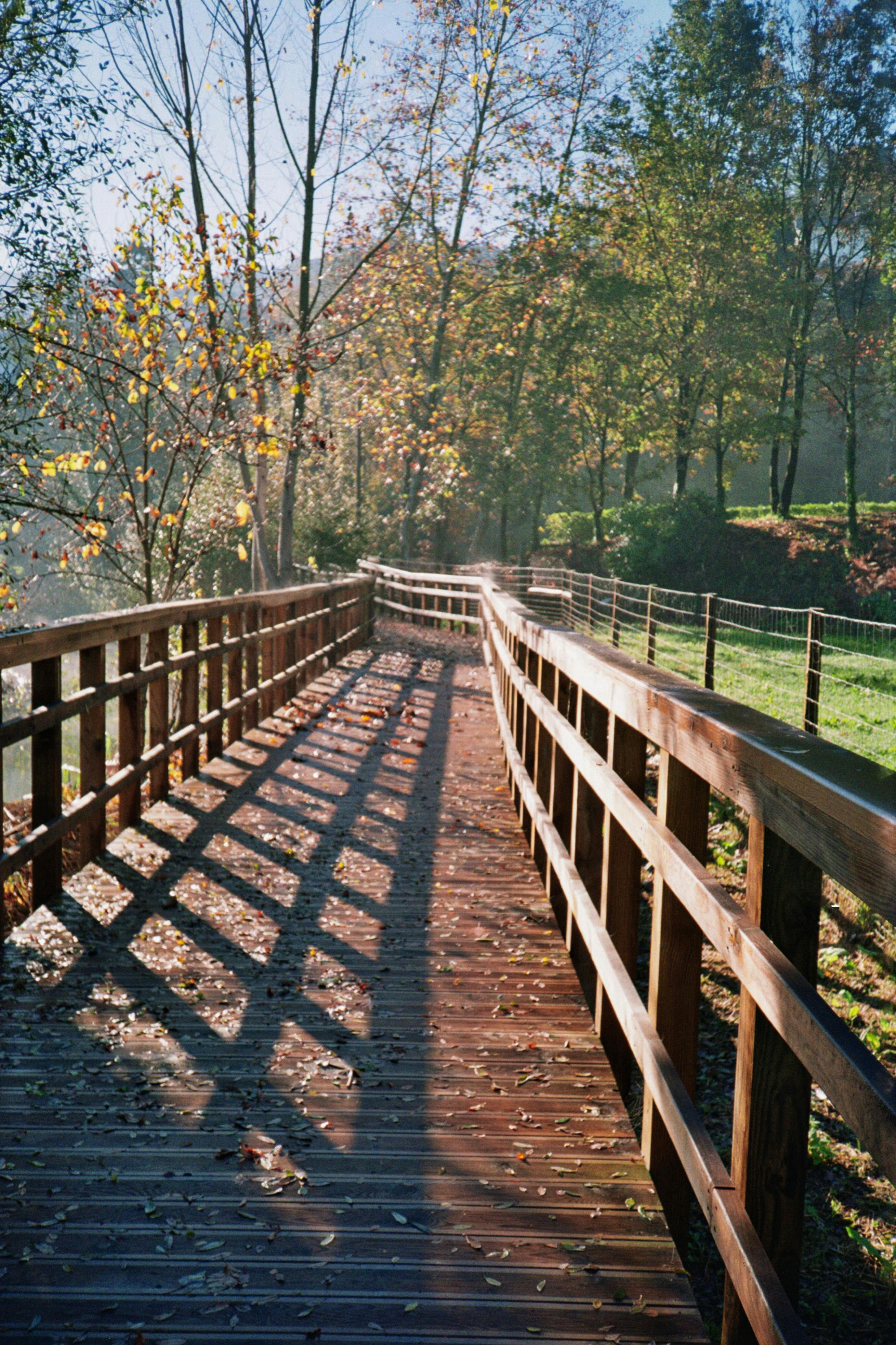 Perspectives Photos, Download The BEST Free Perspectives Stock Photos ...