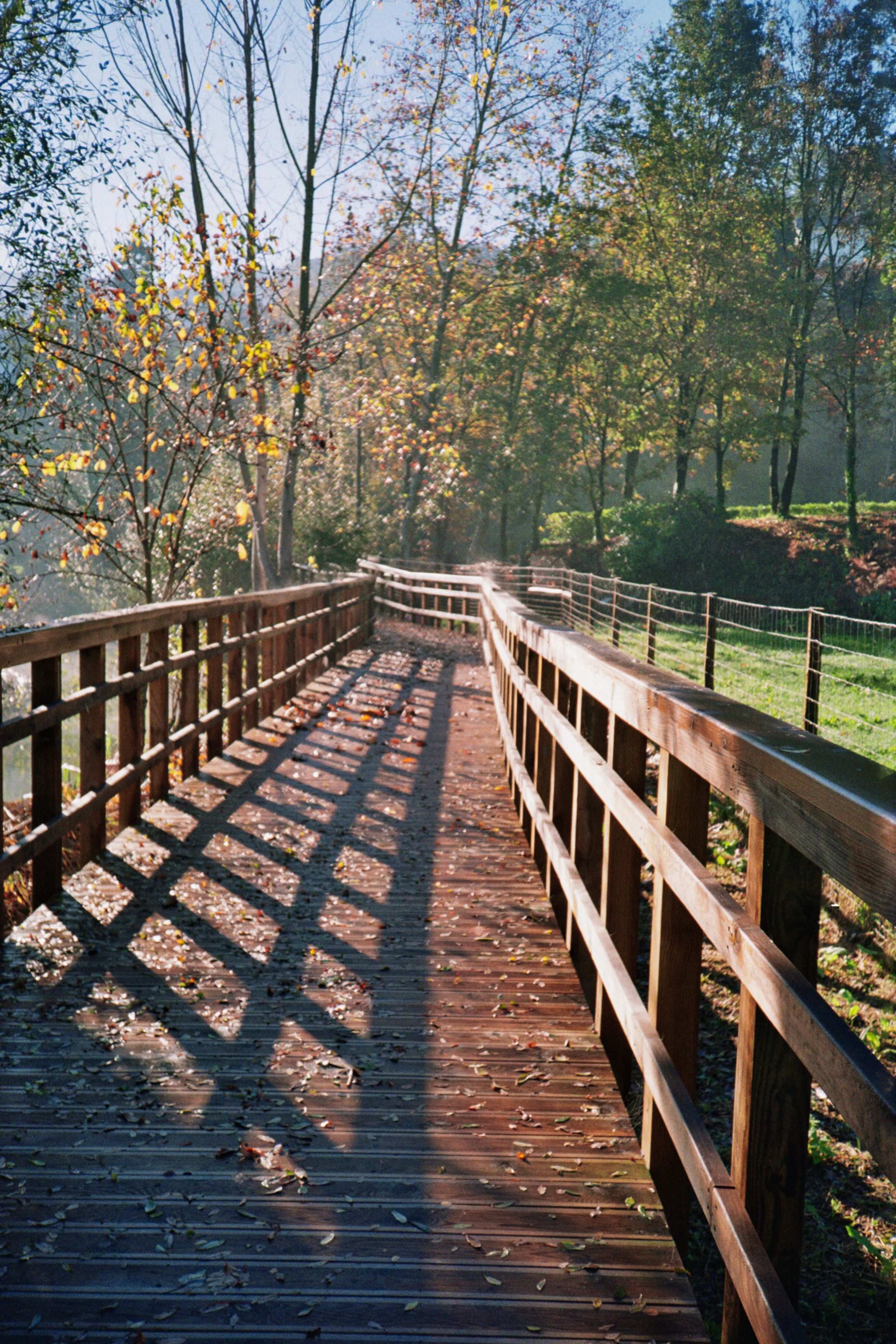 Wet Wooden Footbridge in Spring · Free Stock Photo