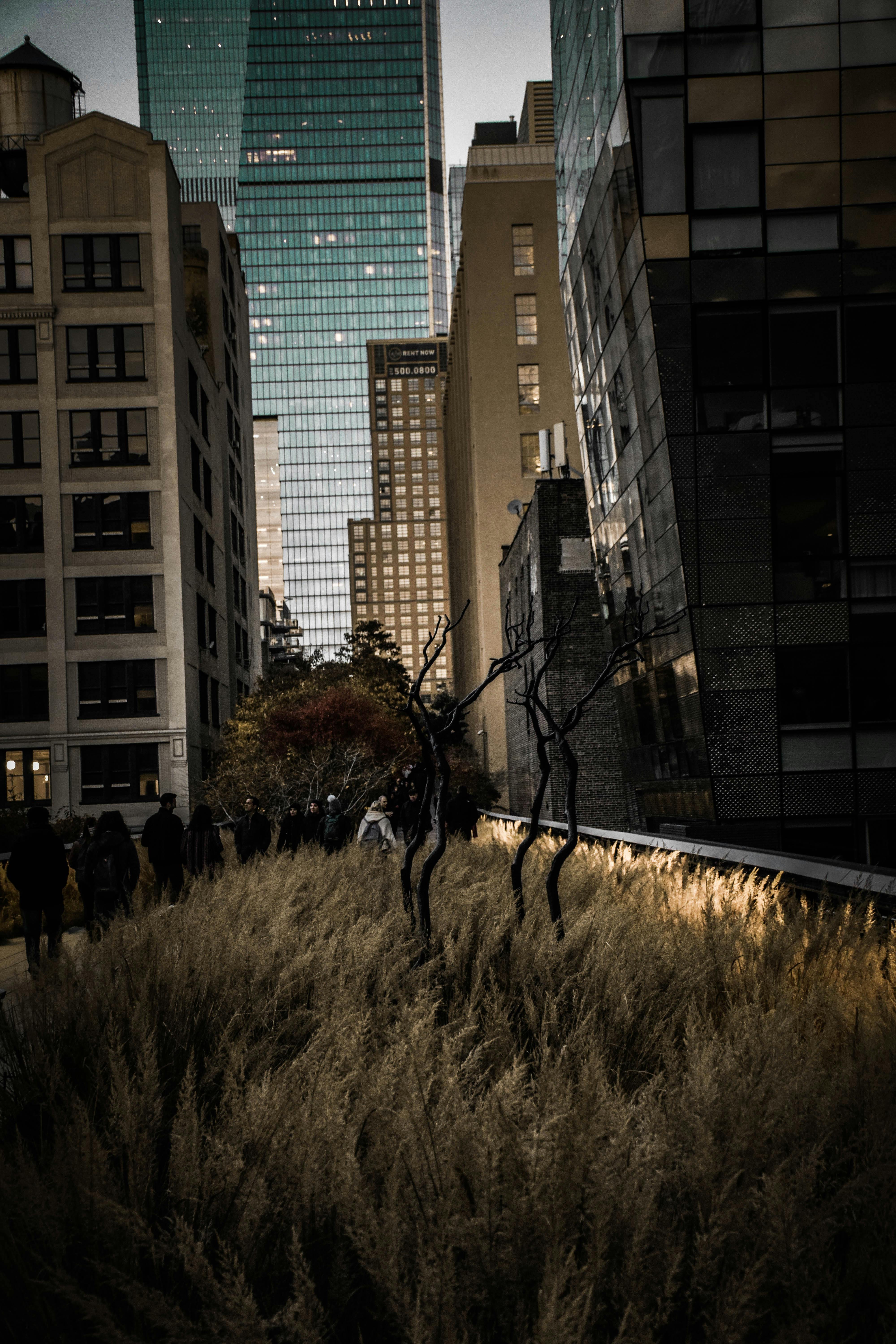 People Walking Towards Building · Free Stock Photo