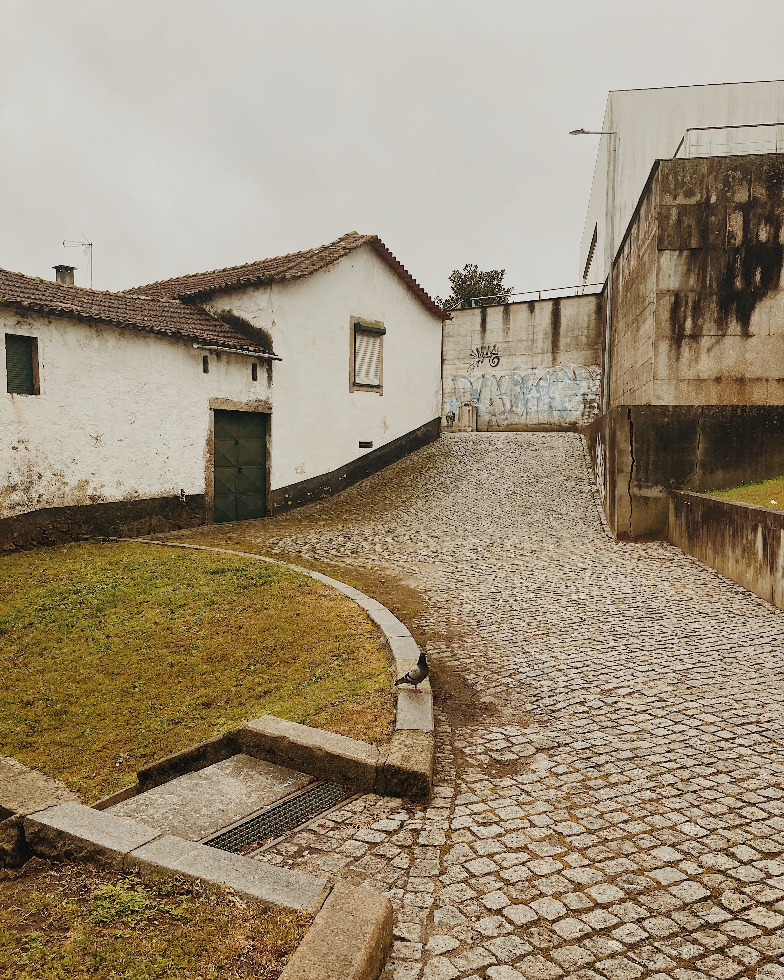Paved Street in a Town · Free Stock Photo
