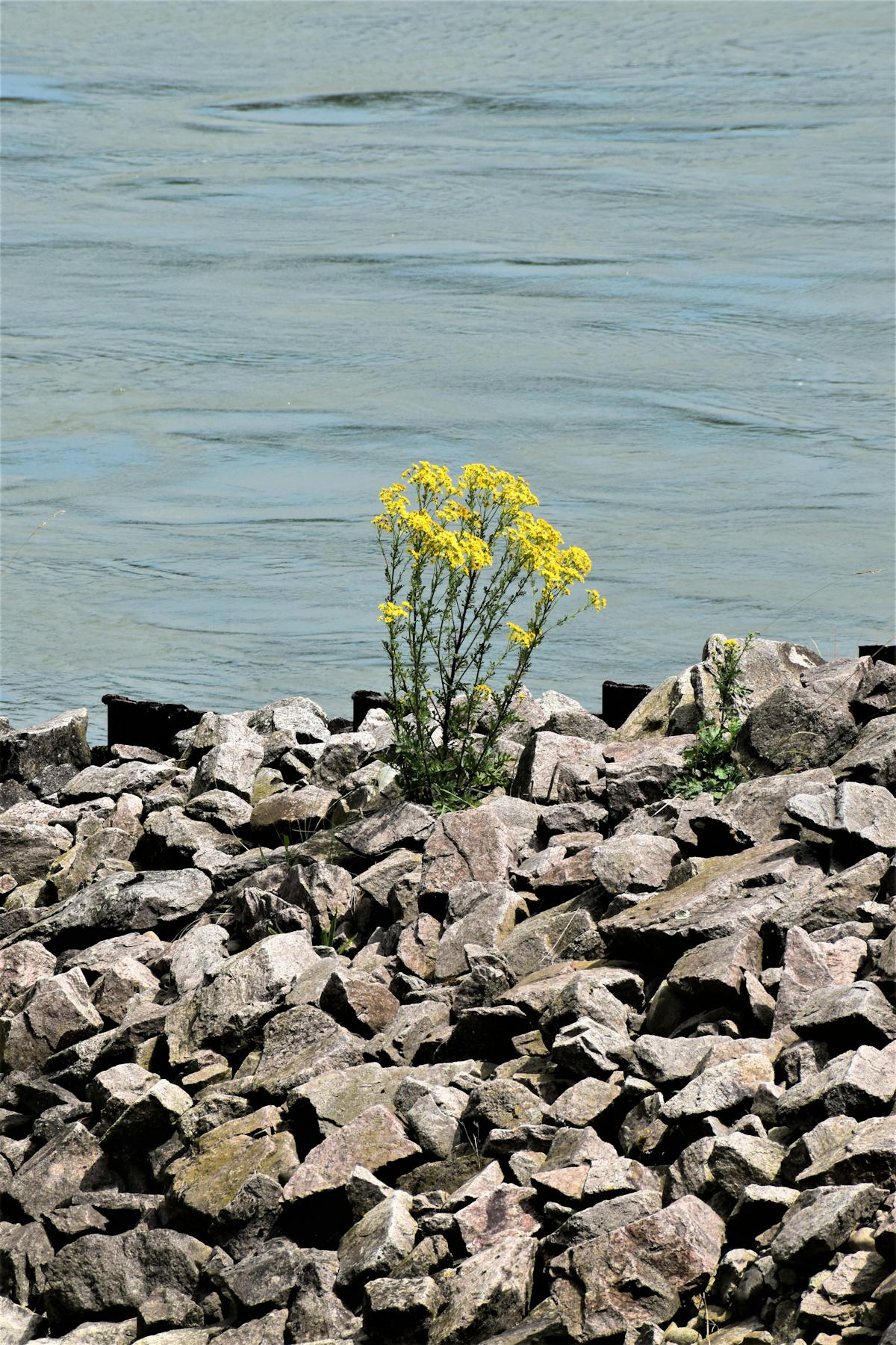 Free Photos Photos, Download The BEST Free Free Photos Stock Photos ...