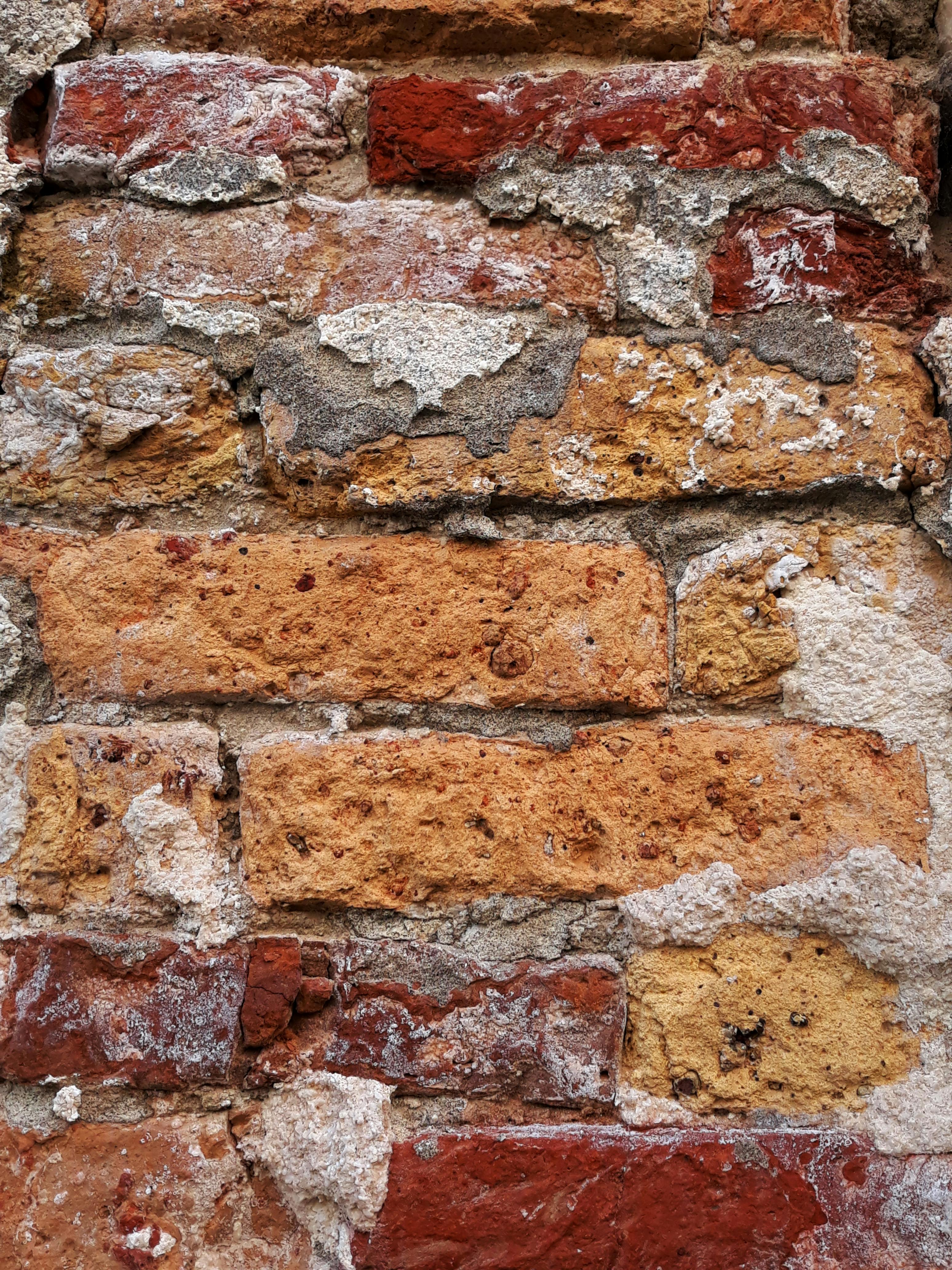 Close-up of White Brick Wall · Free Stock Photo