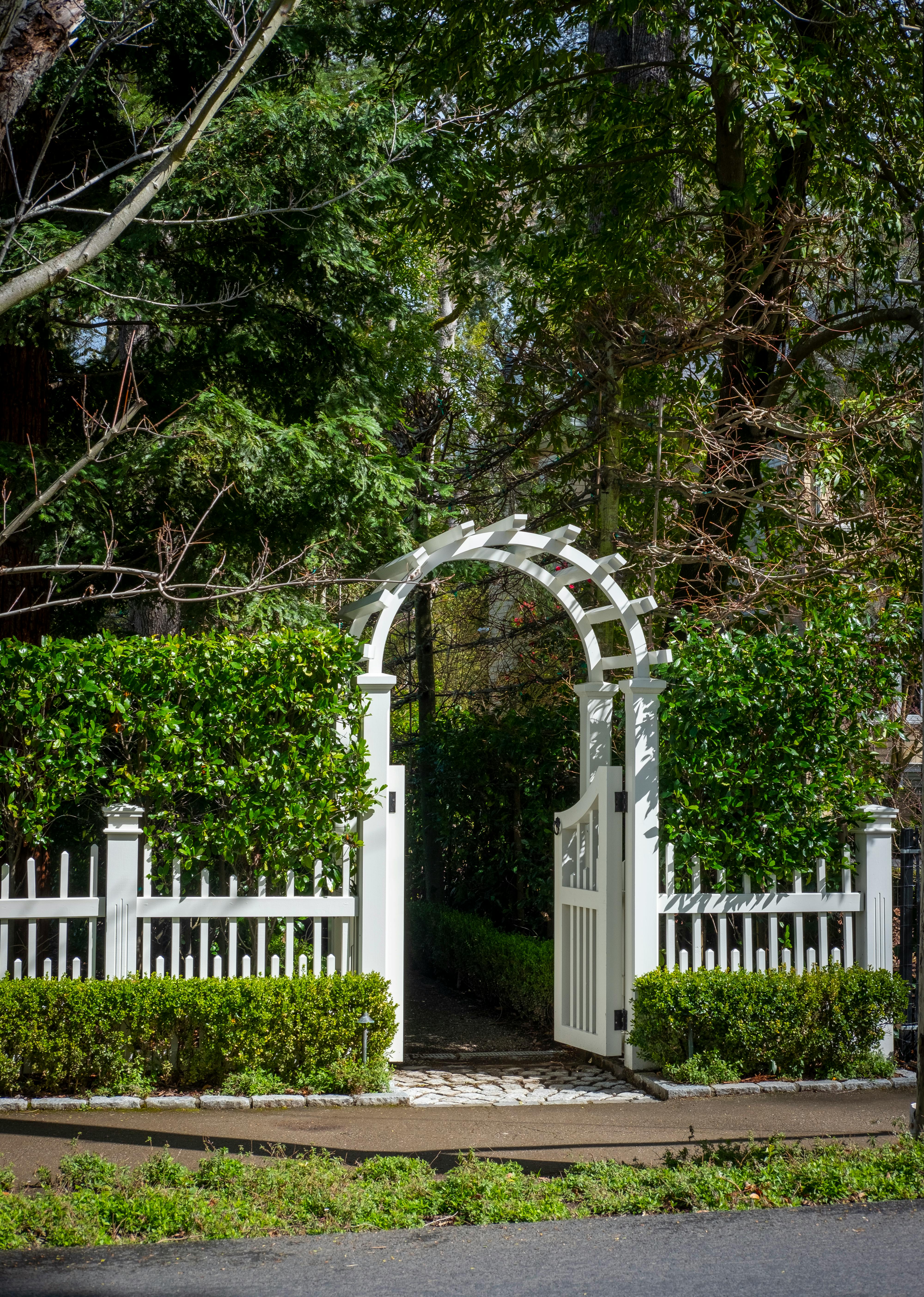 Trees around Gate · Free Stock Photo