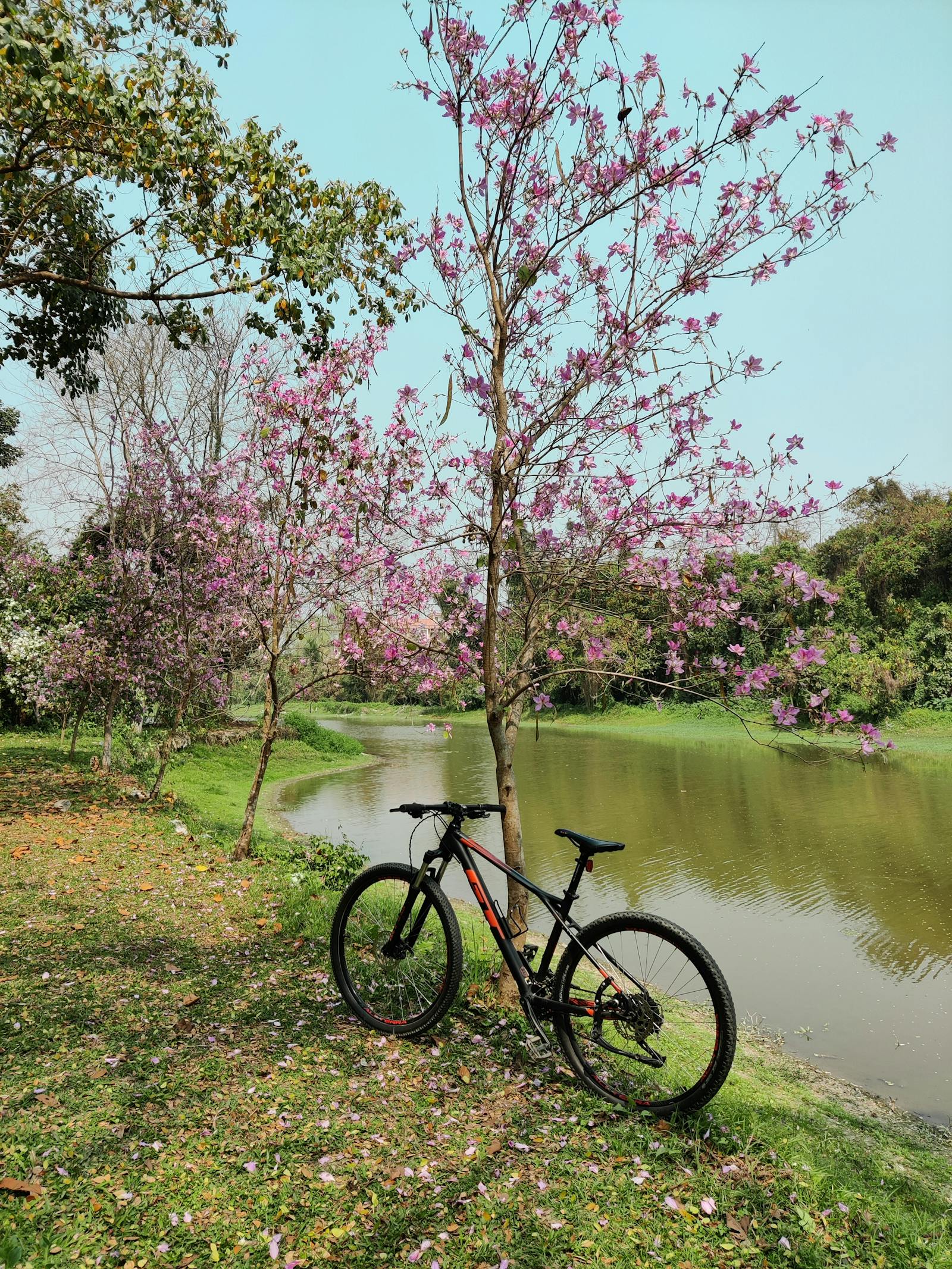 Bicycle Barn Photos, Download The BEST Free Bicycle Barn Stock Photos ...