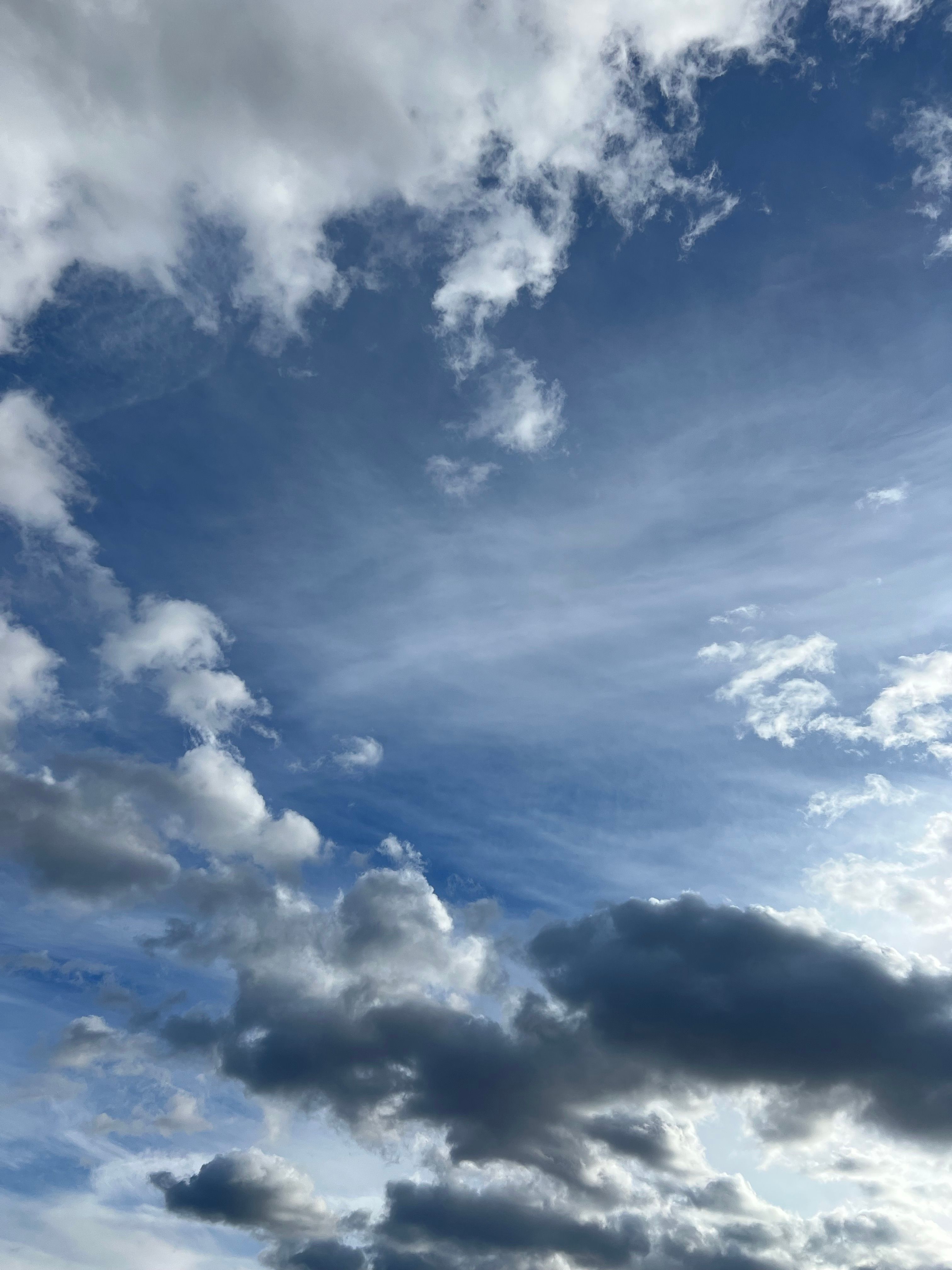 Birds Flying under Clouds at Sunset · Free Stock Photo
