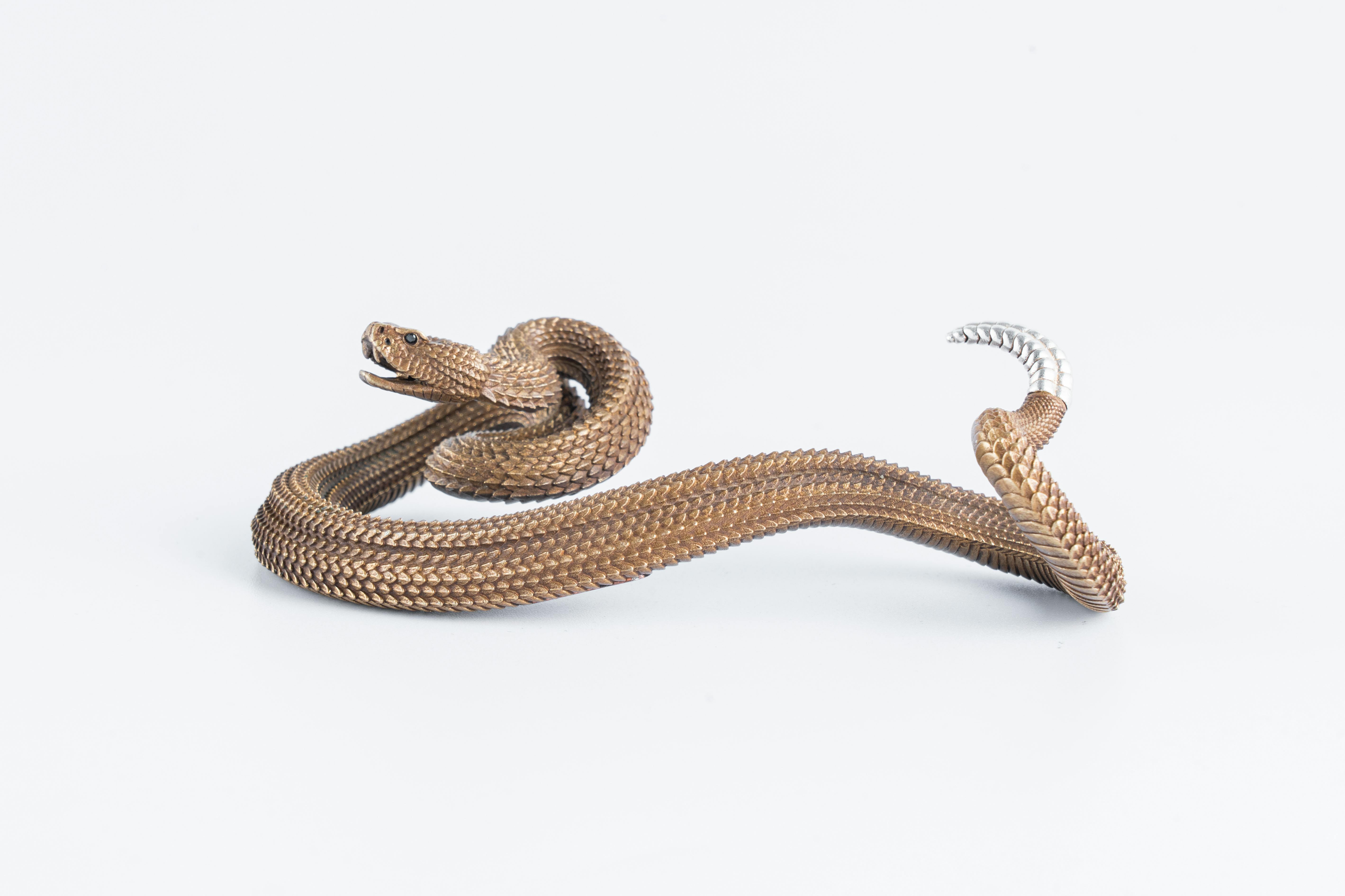 Golden Lancehead Snakes Photos, Download The BEST Free Golden Lancehead ...