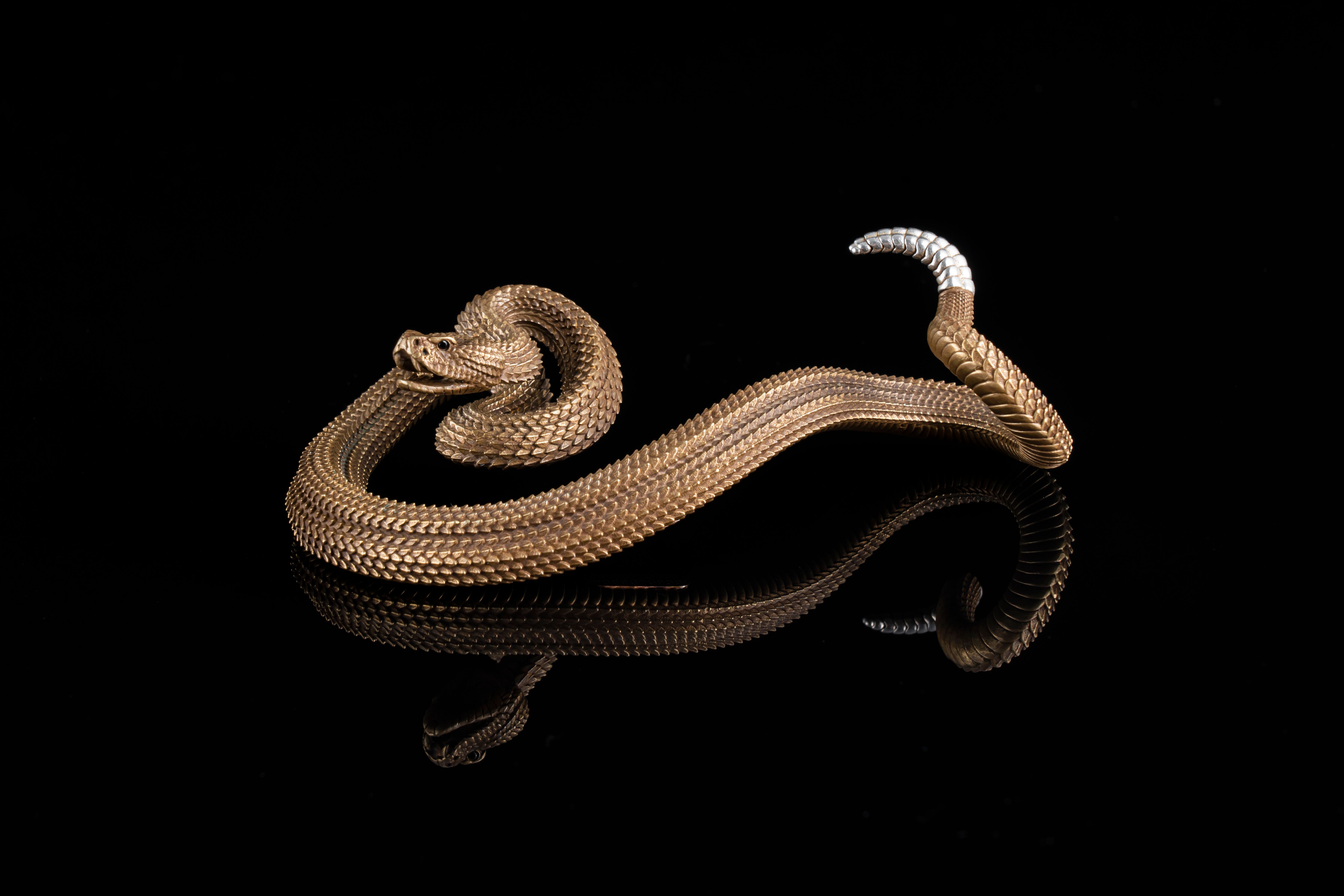 Kariba Snake Photos, Download The BEST Free Kariba Snake Stock Photos ...
