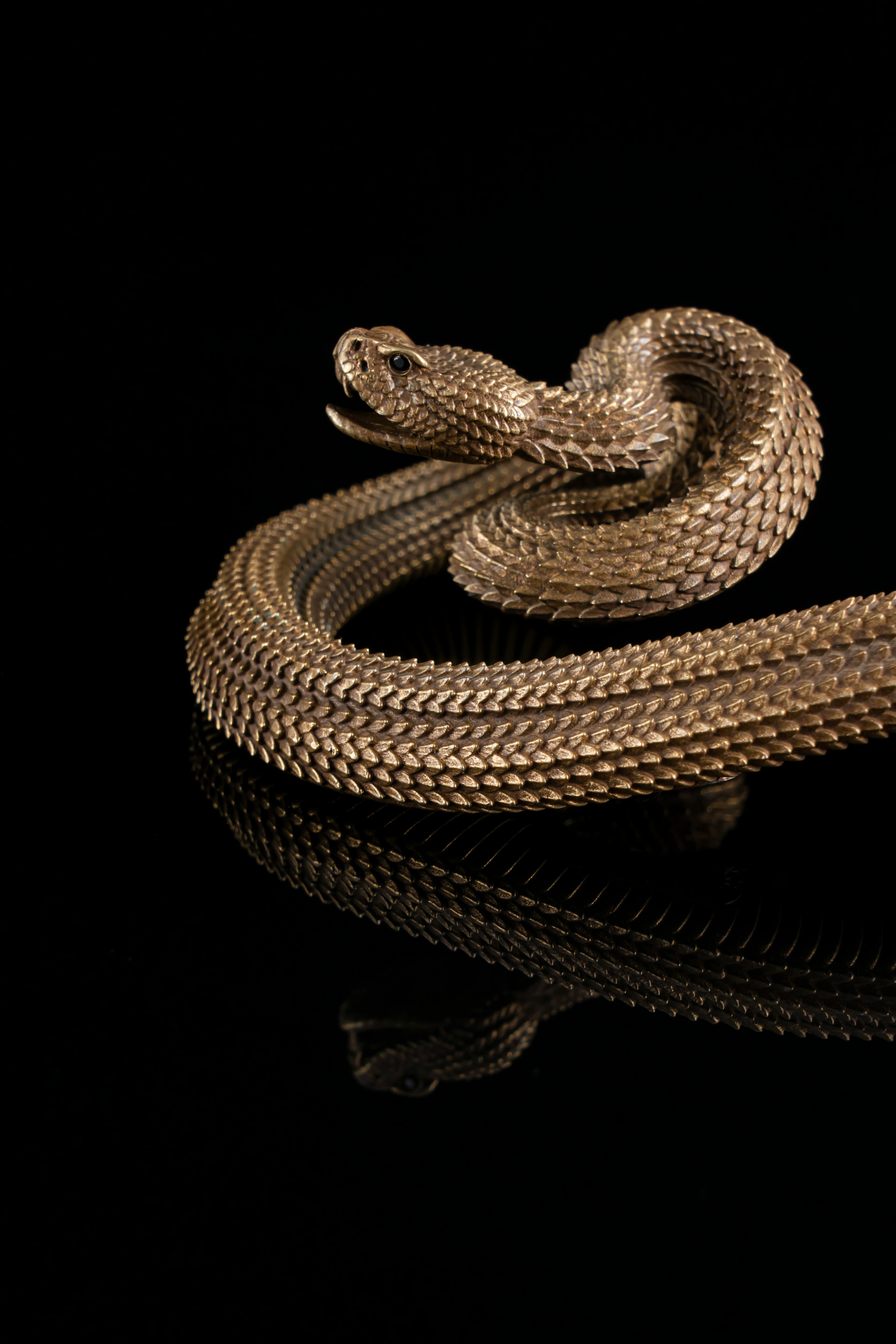 Golden Lancehead Snakes Photos, Download The BEST Free Golden Lancehead ...