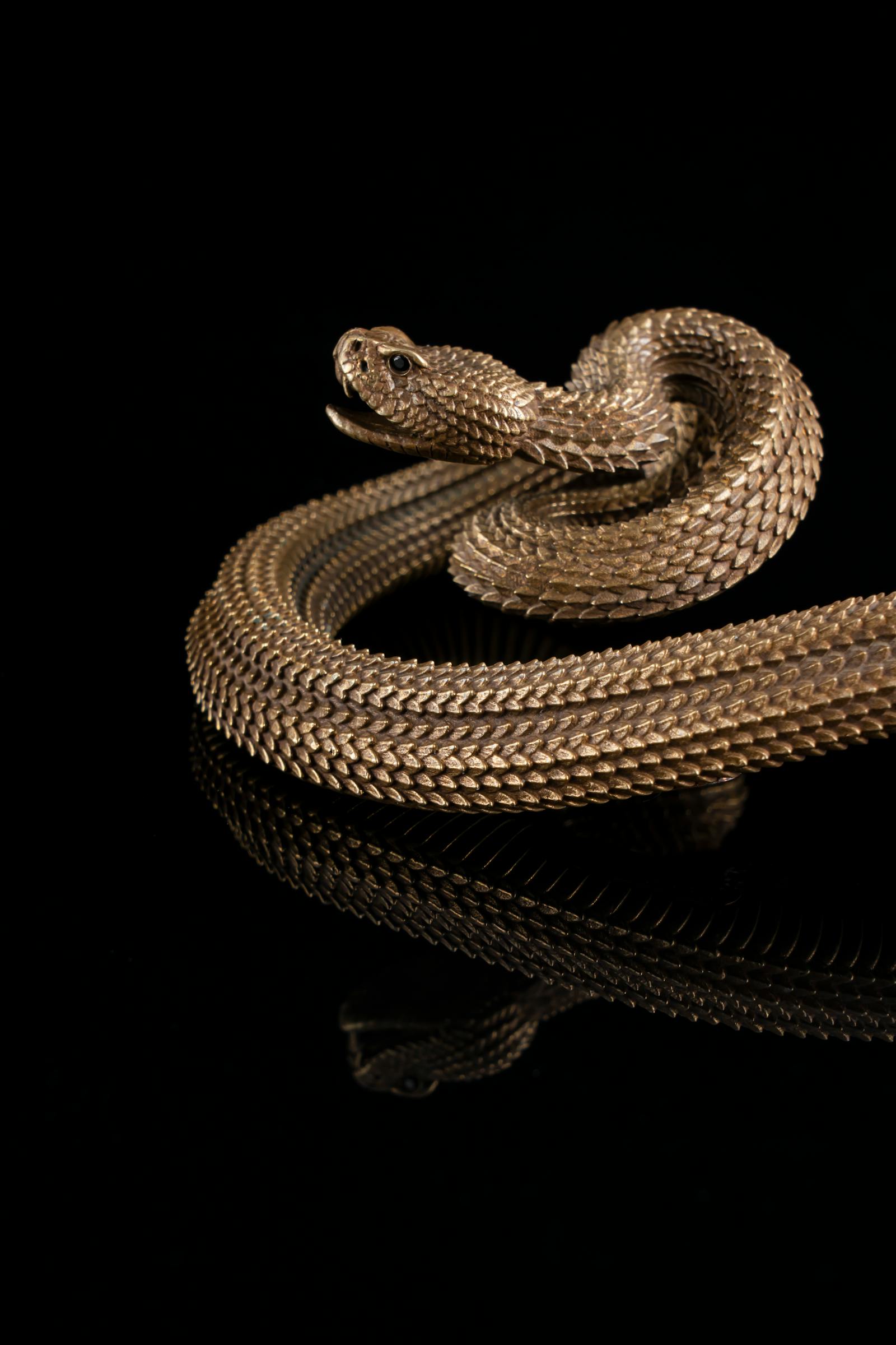 Golden Lancehead Snakes Photos, Download The BEST Free Golden Lancehead ...