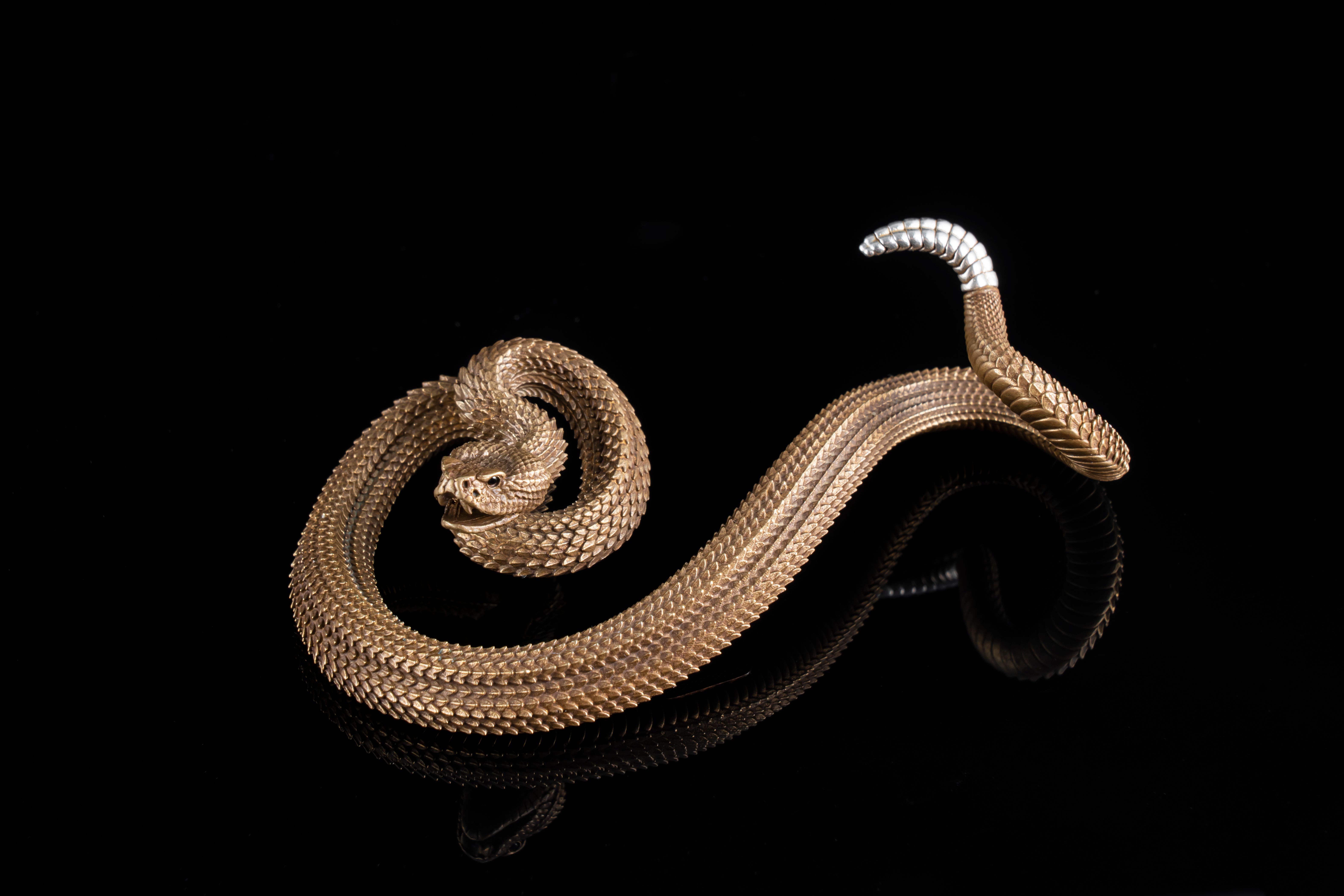 Gold Viper Photos, Download The BEST Free Gold Viper Stock Photos & HD ...